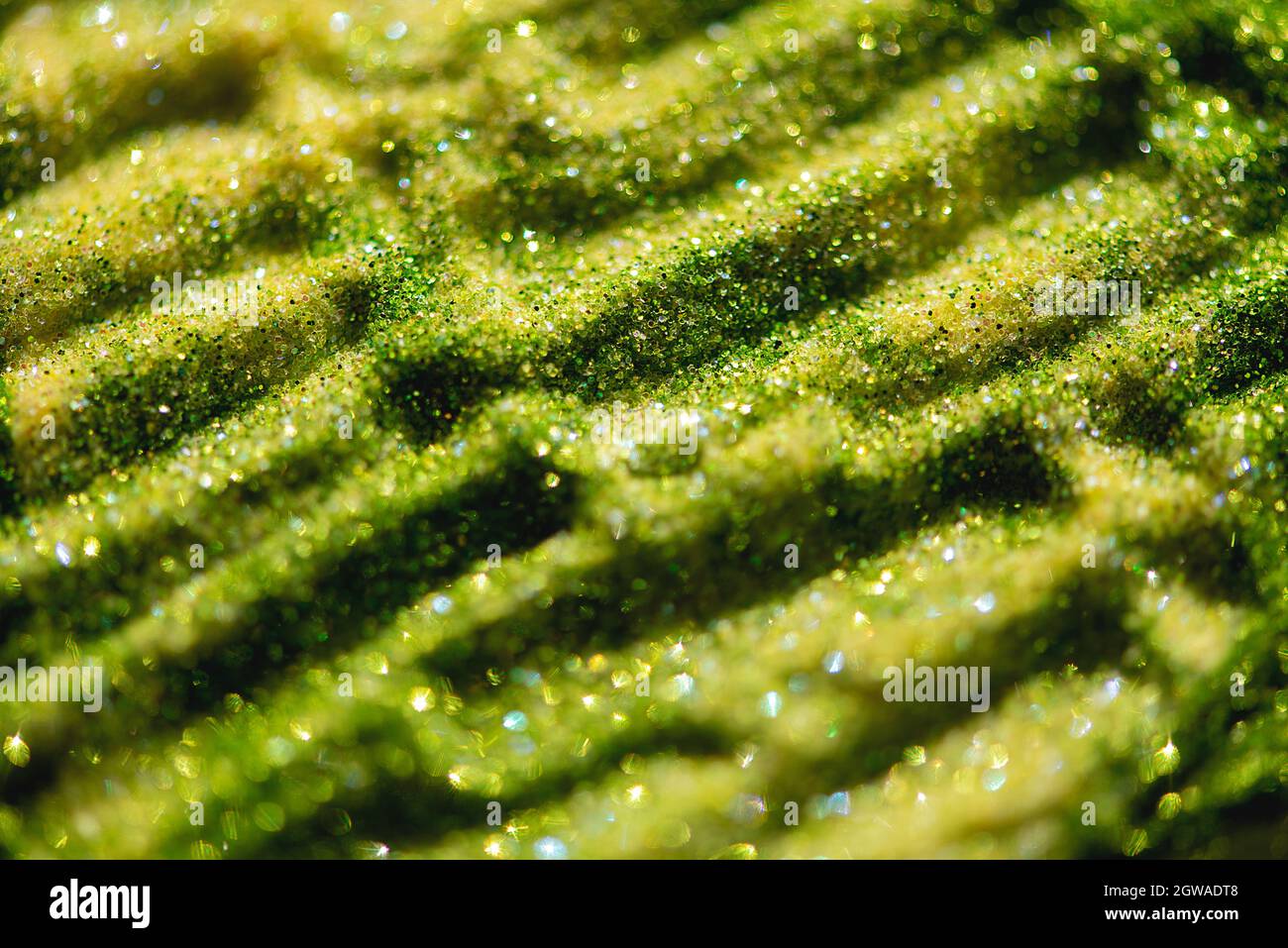 Gold algae in hi-res stock photography and images - Alamy