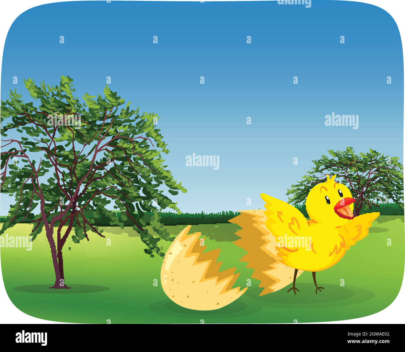 Chick hatching egg hi-res stock photography and images - Alamy