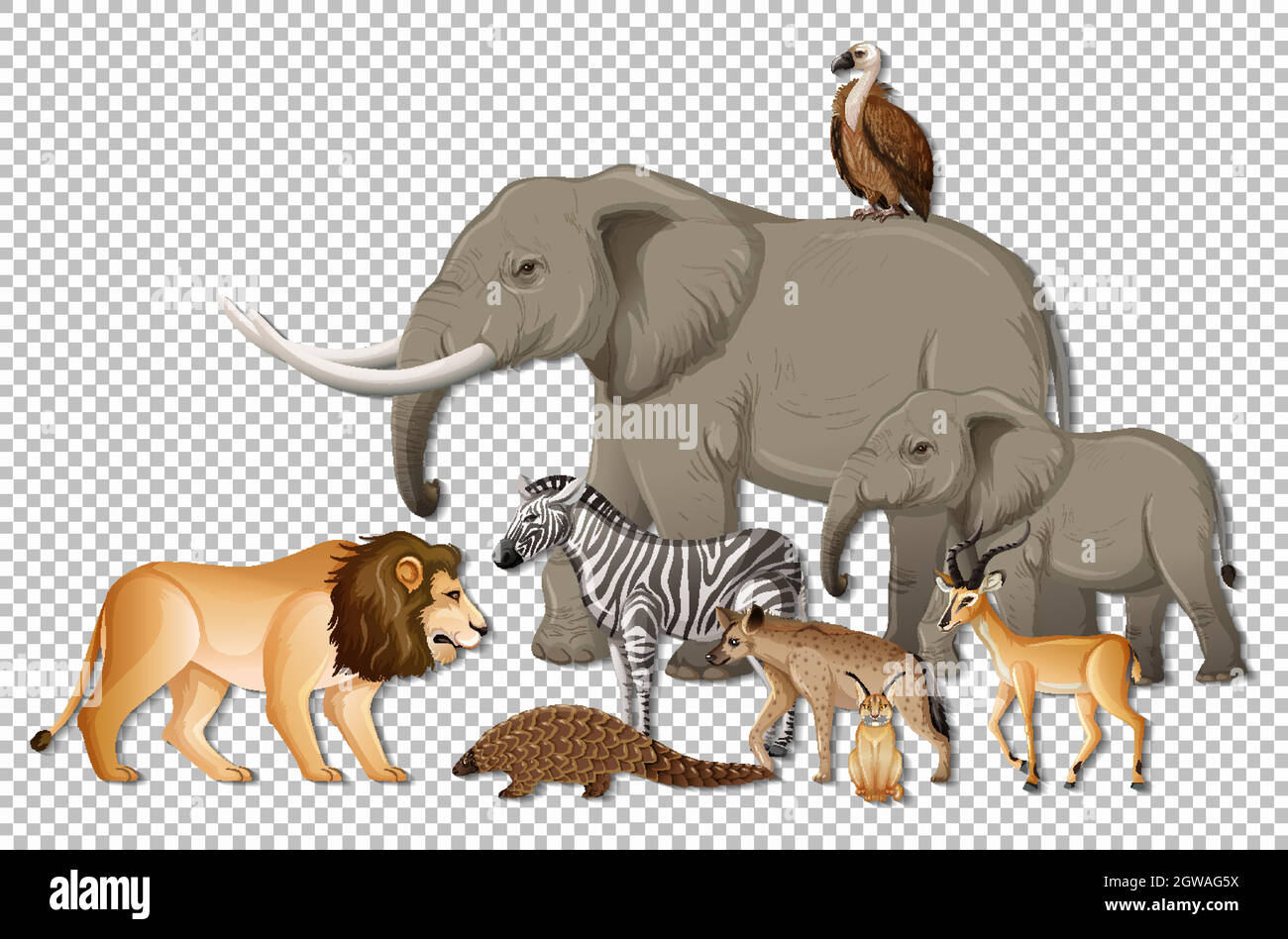 Group of wild african animals on transparent background Stock Vector ...