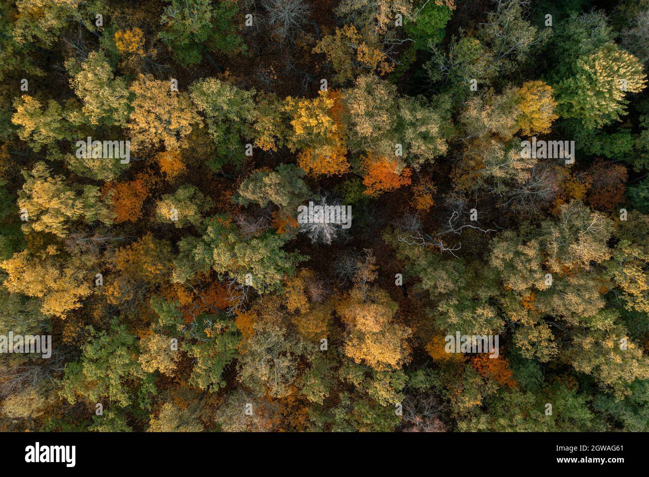 Aerial fall colors hi-res stock photography and images - Alamy