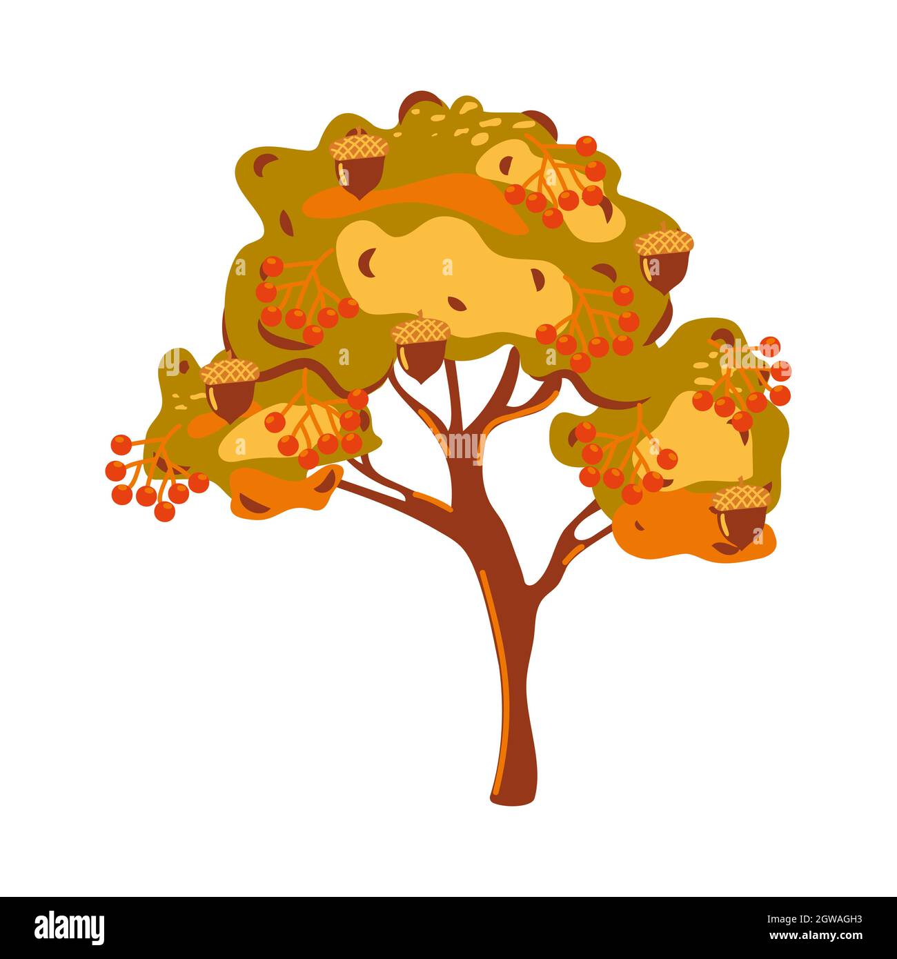 Cartoon autumn tree with acorns and red berries isolated on white ...