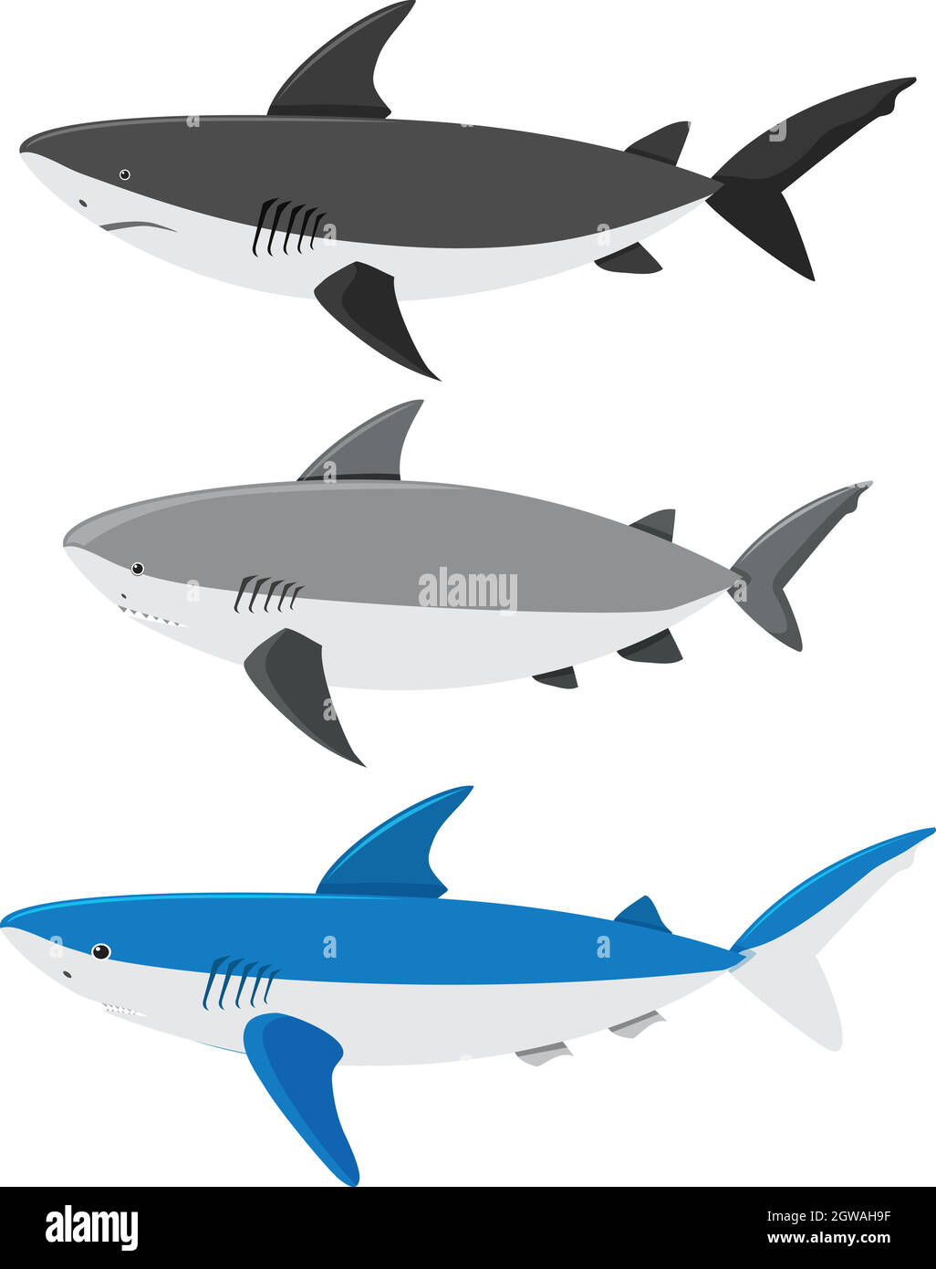 Sharks Stock Vector Images - Alamy