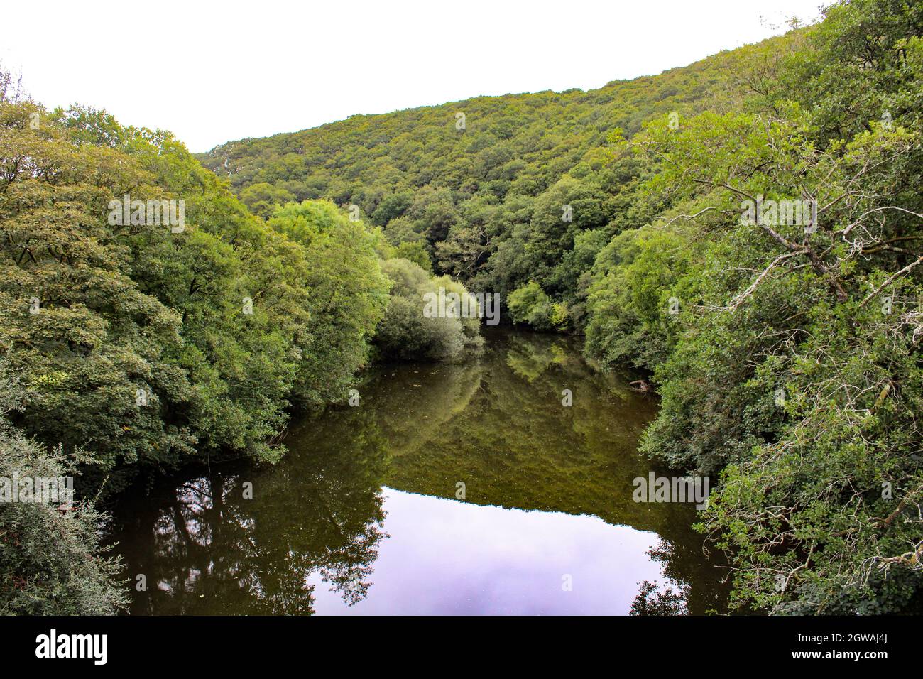 Captures of early autumn in the English countryside. The Tarka Trail ...
