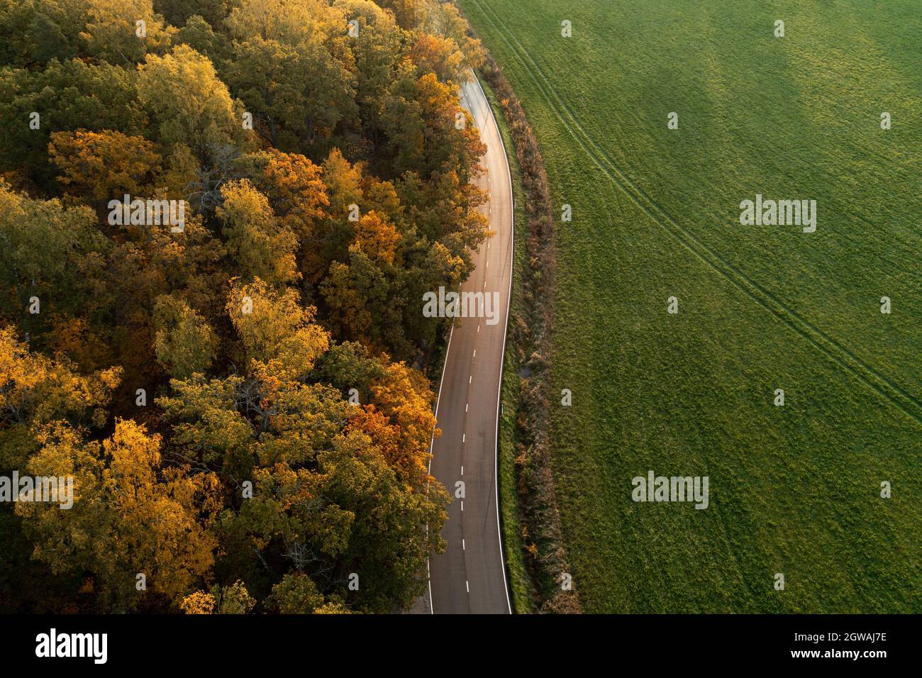 Aerial fall trees hi-res stock photography and images - Alamy