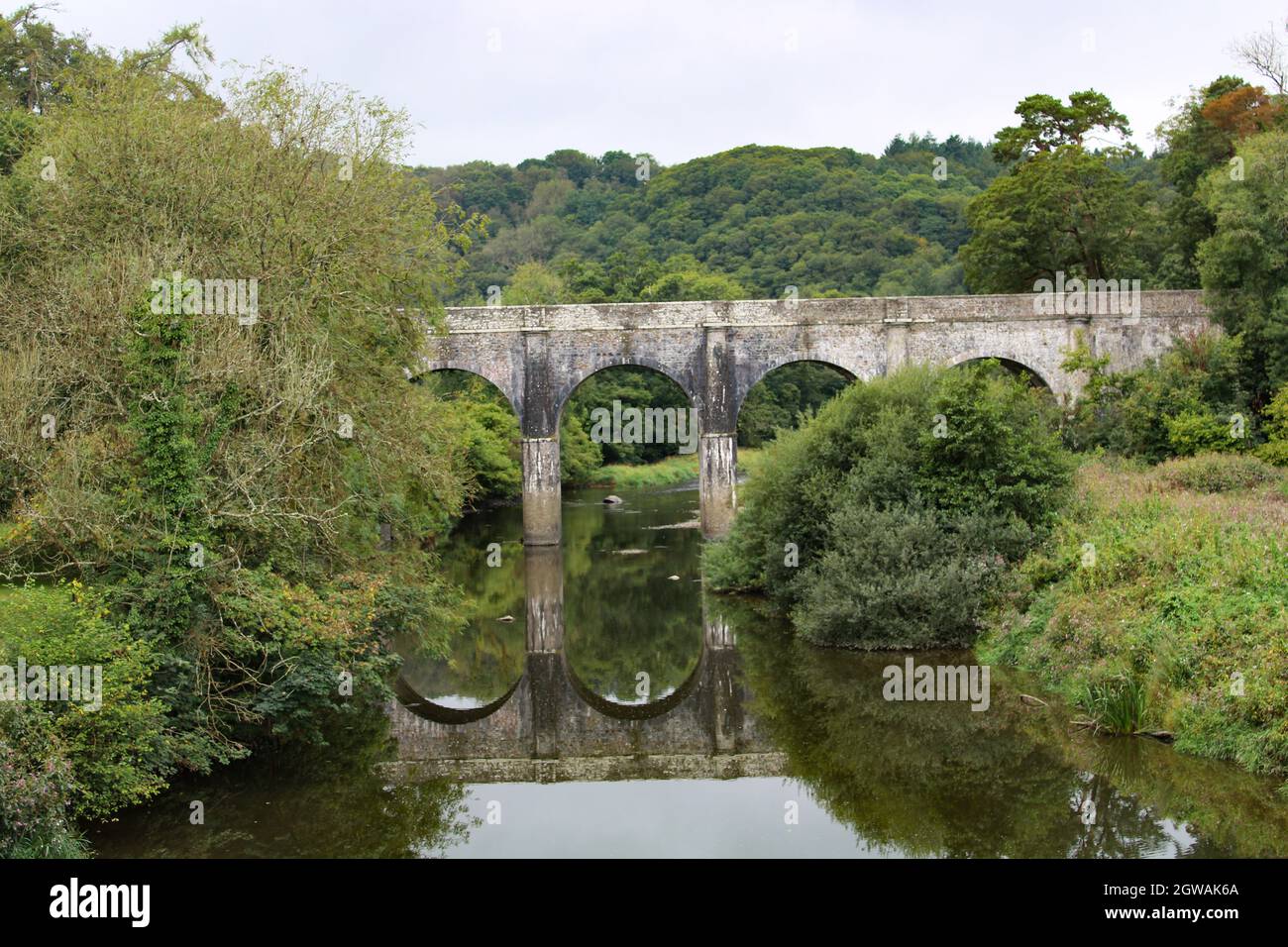 Captures of early autumn in the English countryside. The Tarka Trail ...