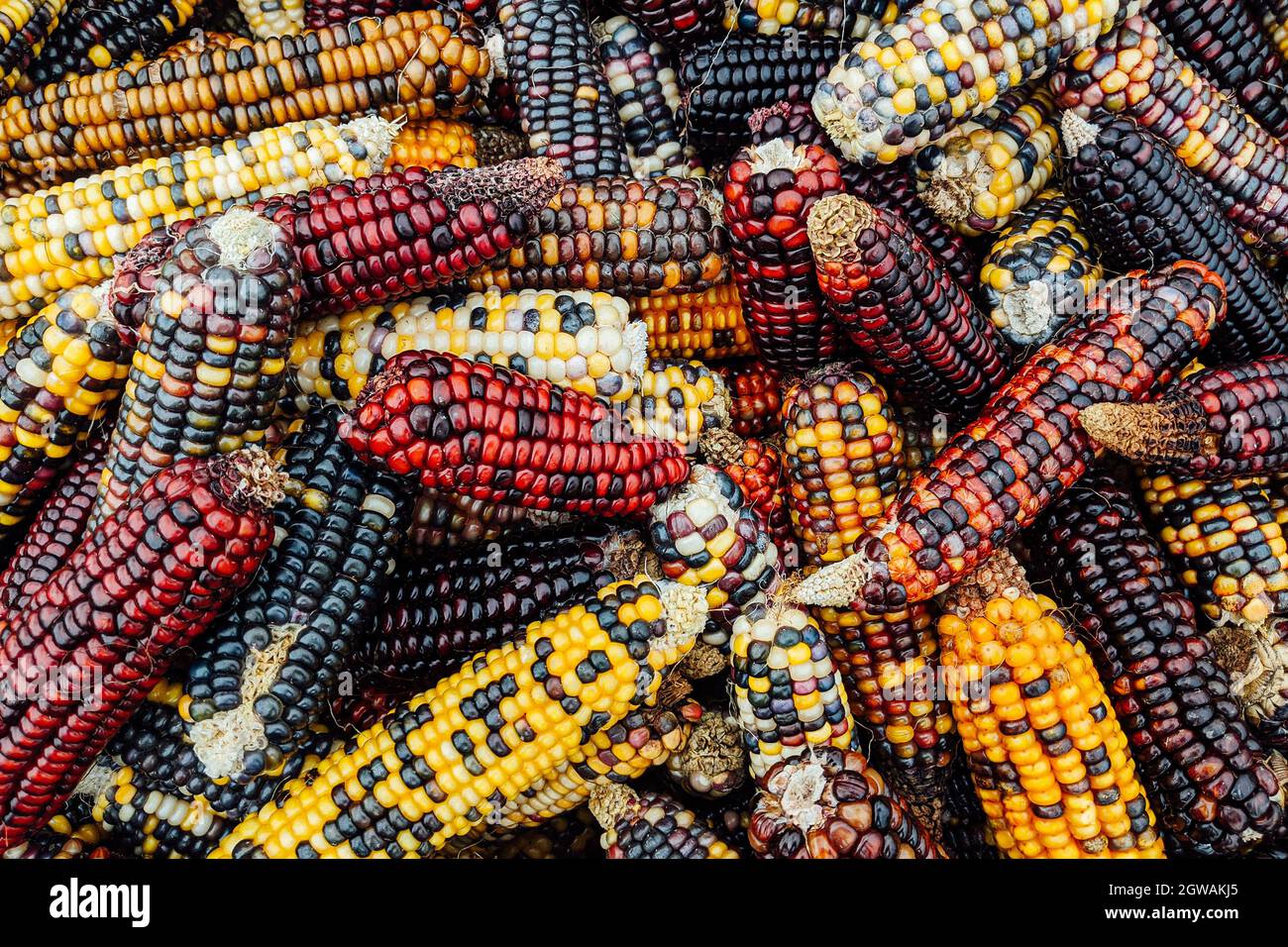 Corn husk art hi-res stock photography and images - Alamy