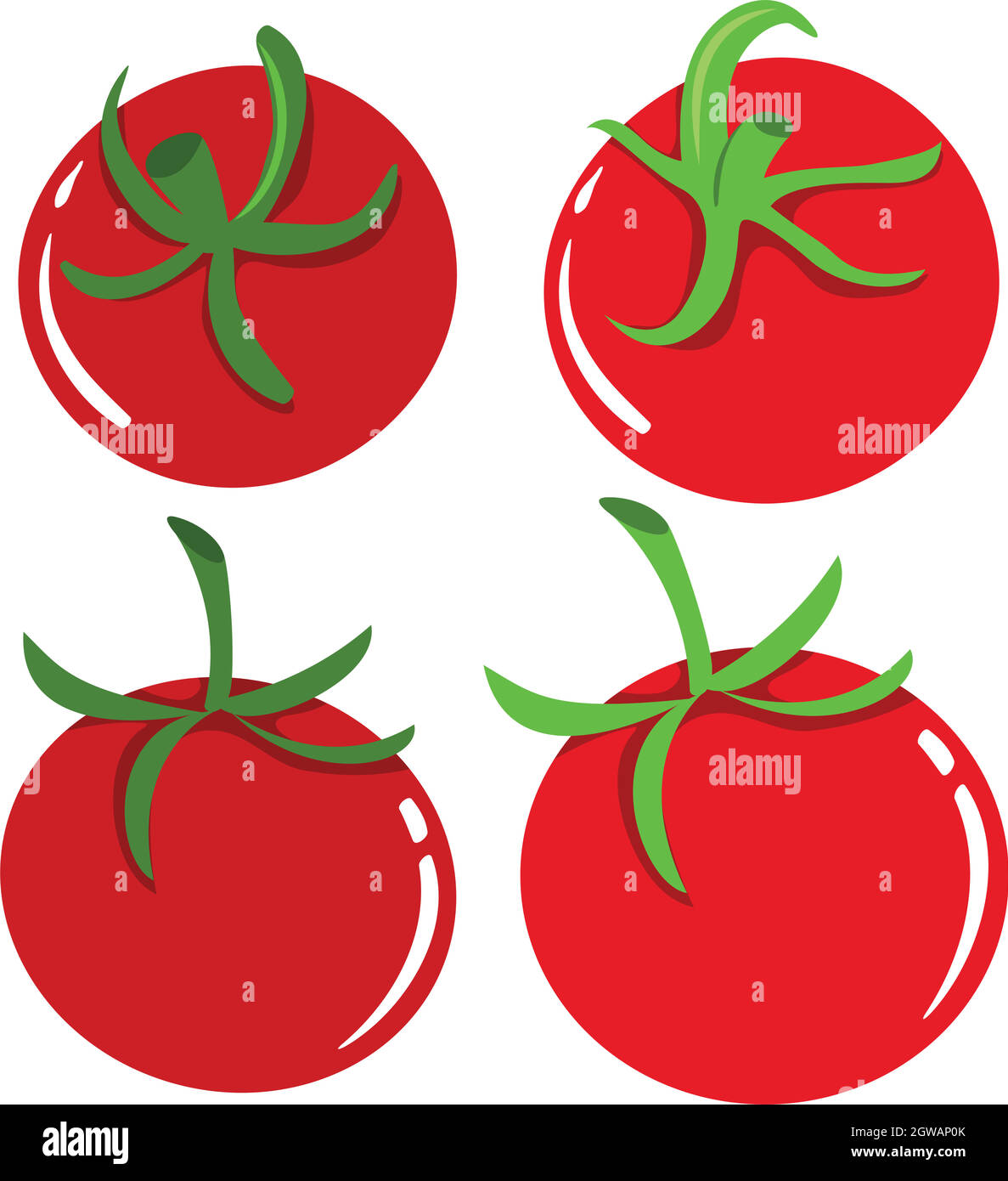 Fresh food tomatoes on Stock Vector Images - Alamy