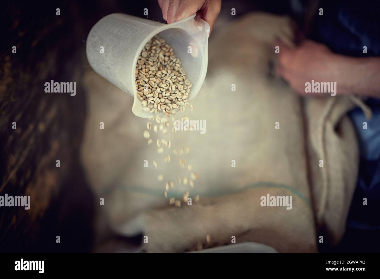 Close up drip raw coffee, Freshly coffee beans Stock Photo - Alamy
