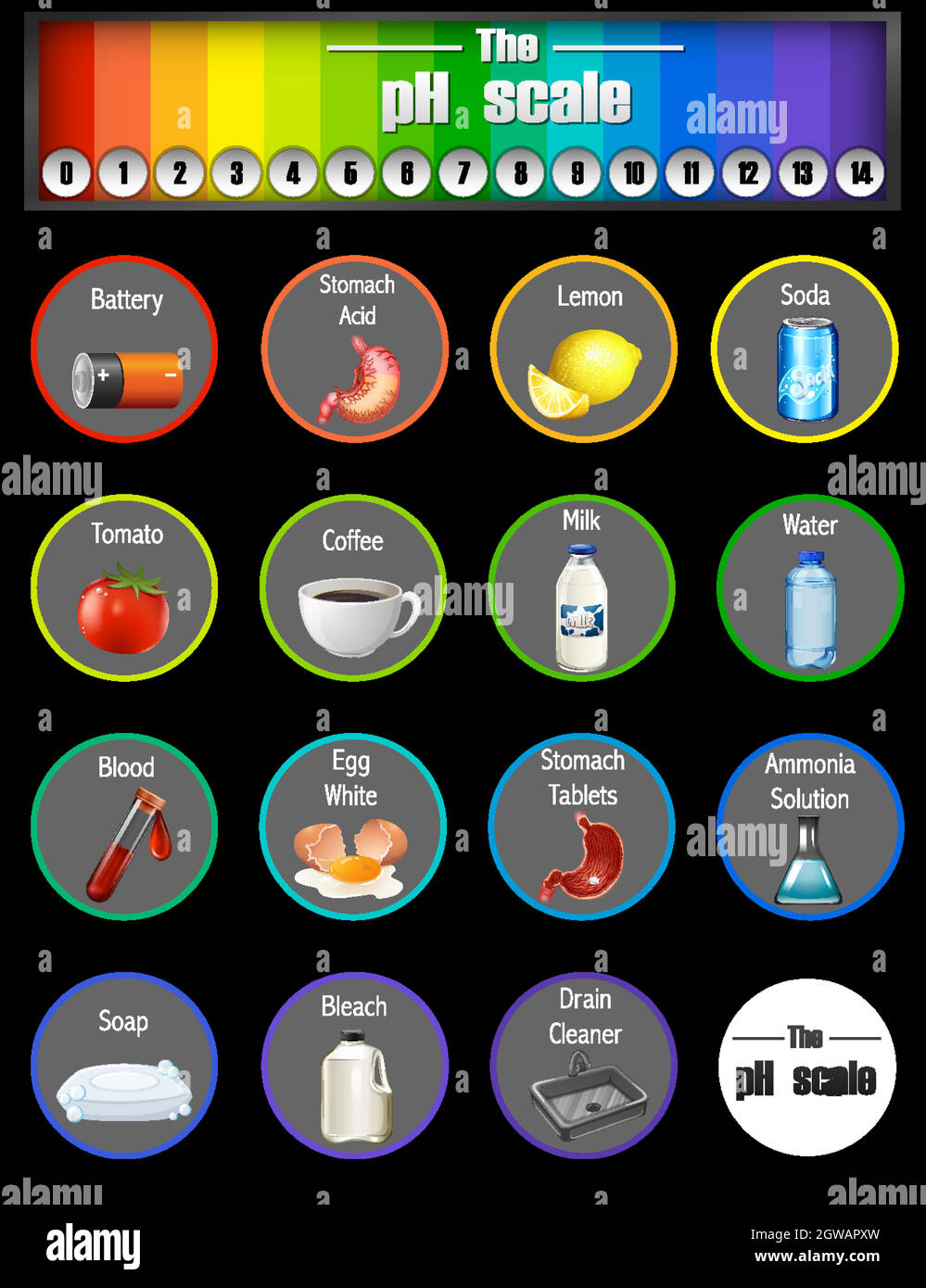 The pH scale with numbers and different samples Stock Vector Image ...