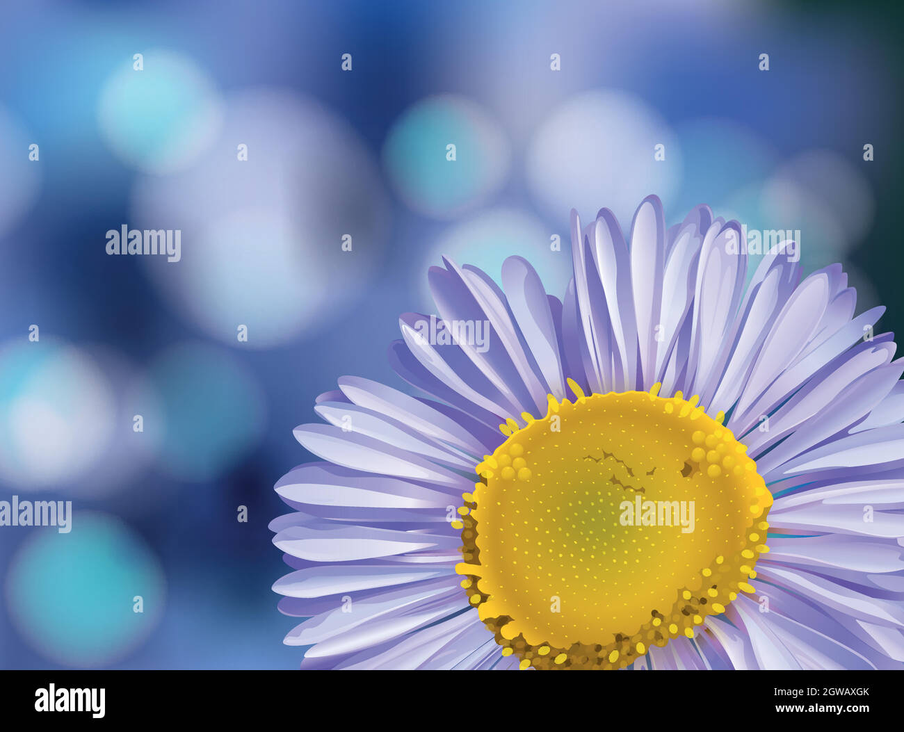 Purple yellow flowers white summer Stock Vector Images - Alamy