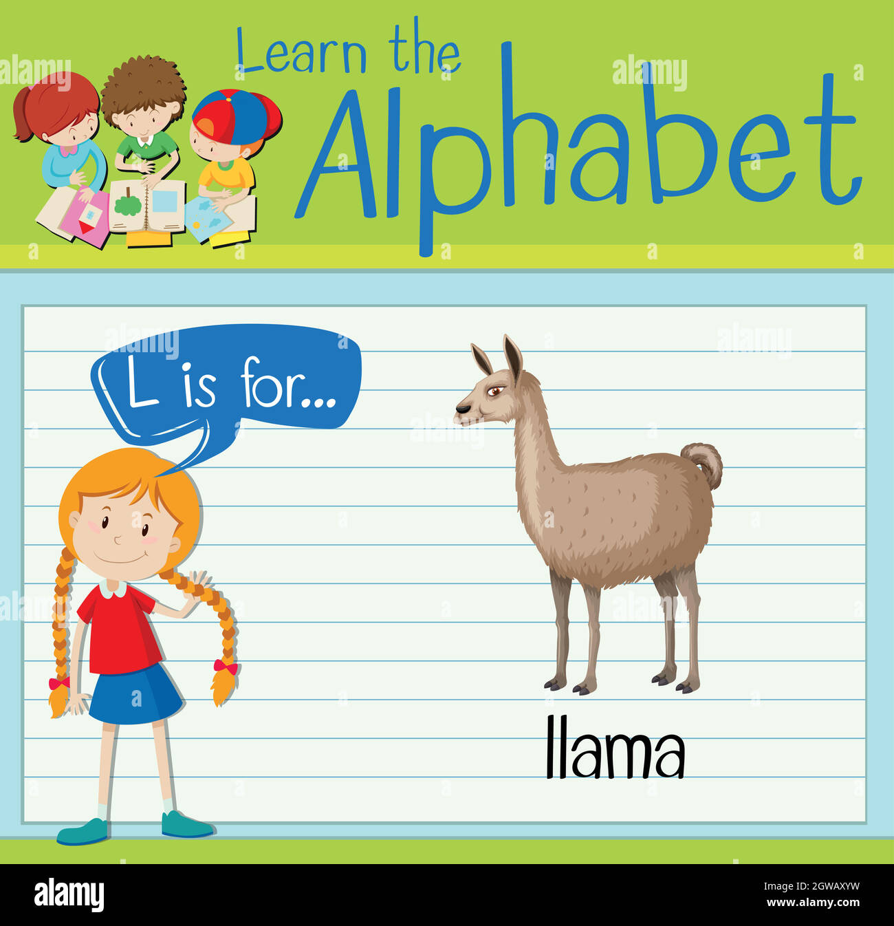 Flashcard letter L is for llama Stock Vector Image & Art - Alamy