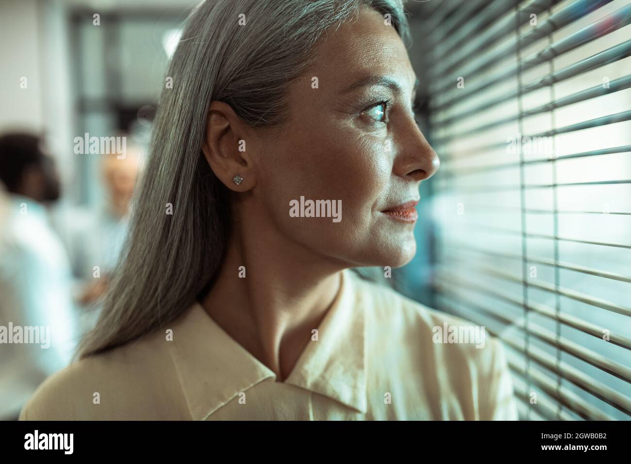 cinematic image of a multiethnic business team. employees working ...