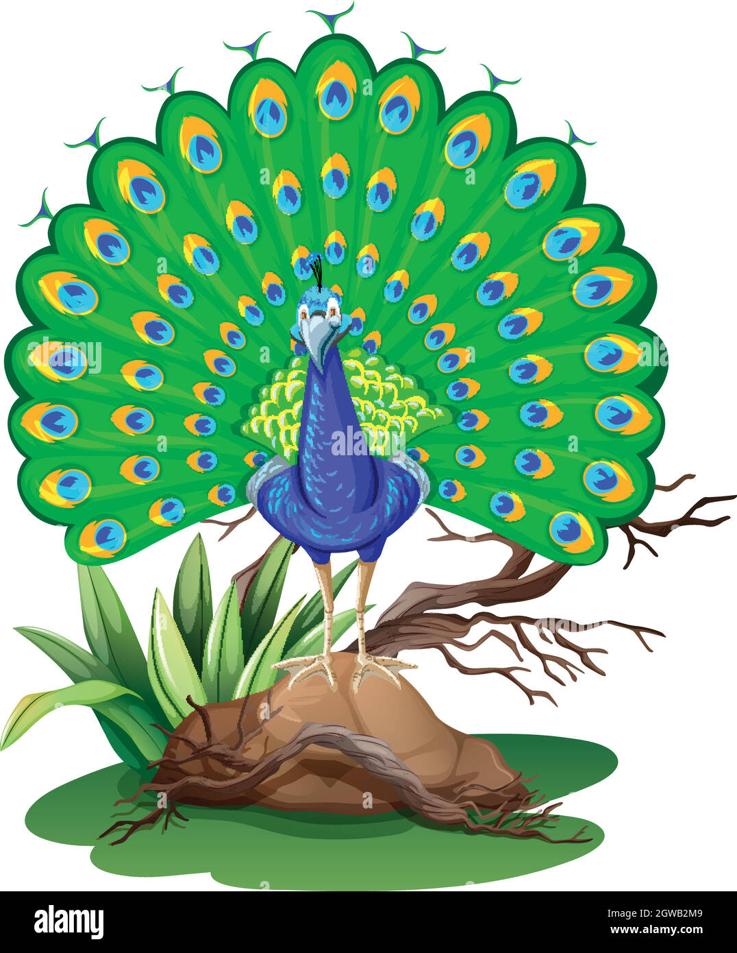 Rock Peacock Stock Vector Images Alamy