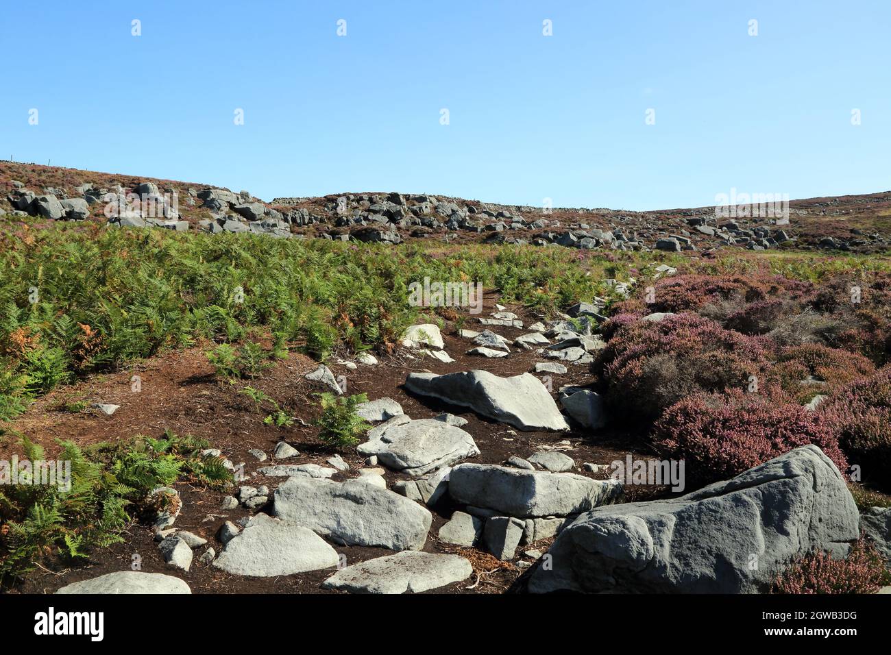 Rocky footpath heading towards Clougha Pike and close to Rigg Lane ...