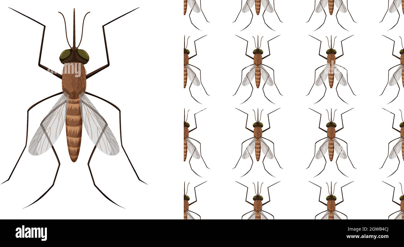 Mosquito insects isolated on white background and seamless Stock Vector ...