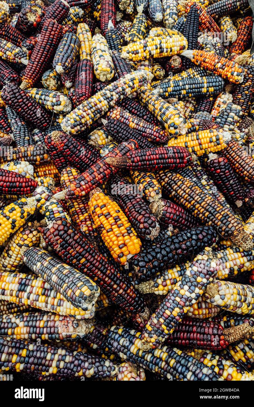 Corn husk art hi-res stock photography and images - Alamy