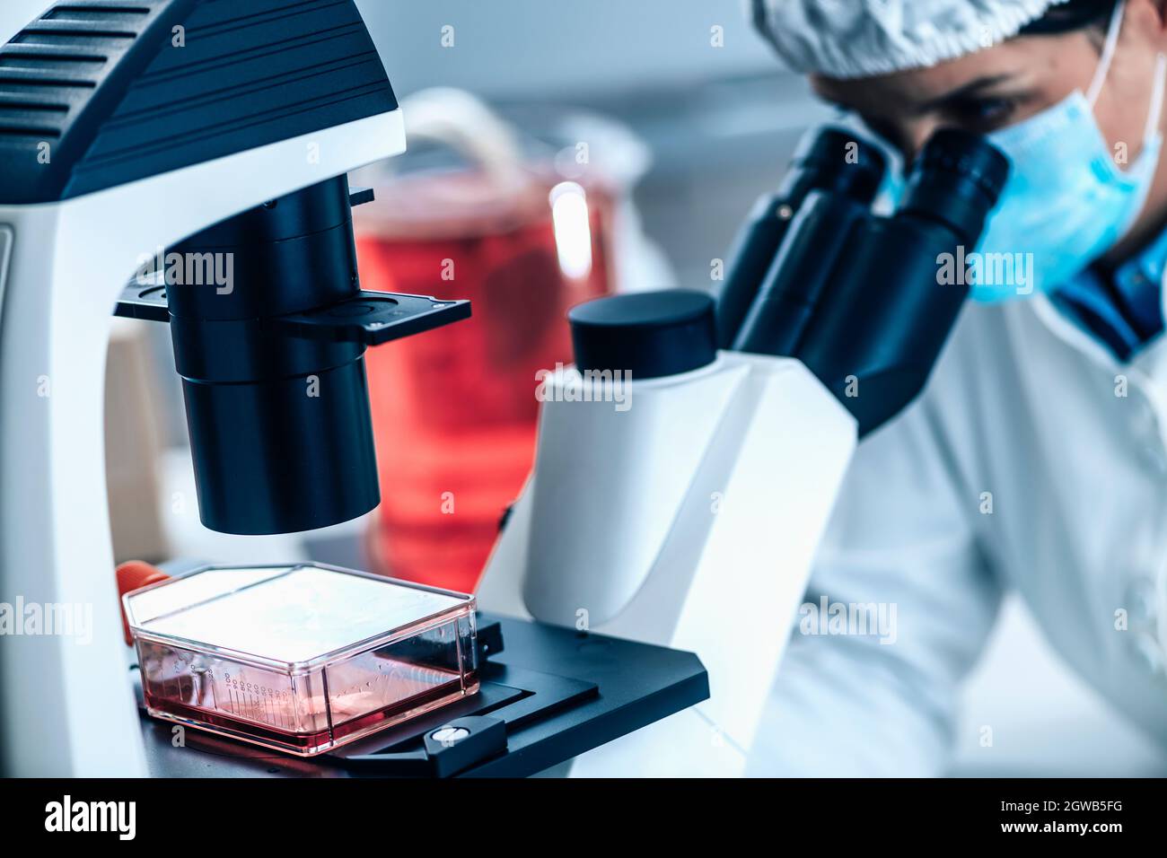 Drink under microscope hi-res stock photography and images - Alamy