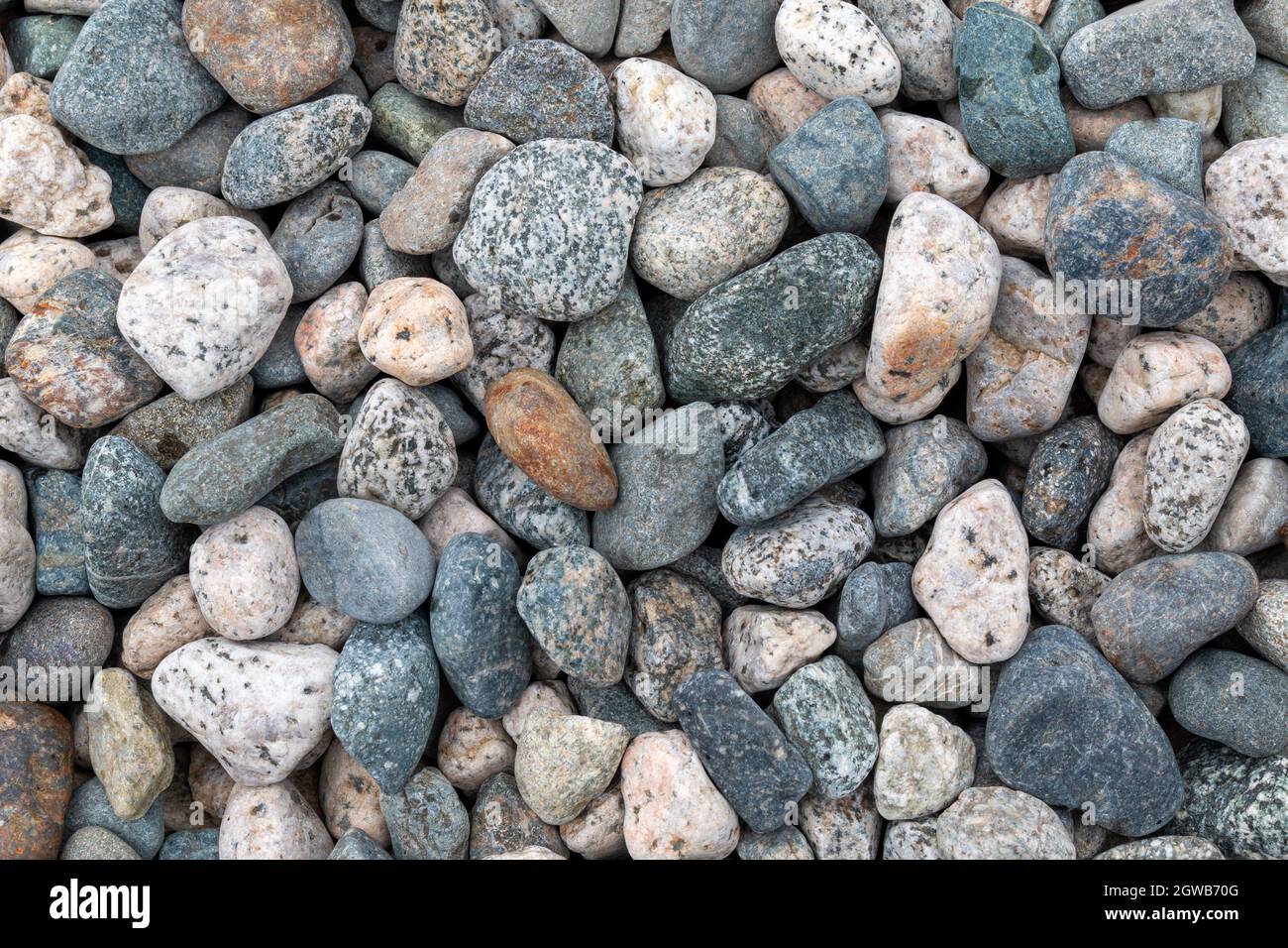 Stones at a pebble beach background. West coast or PNW detail Stock ...