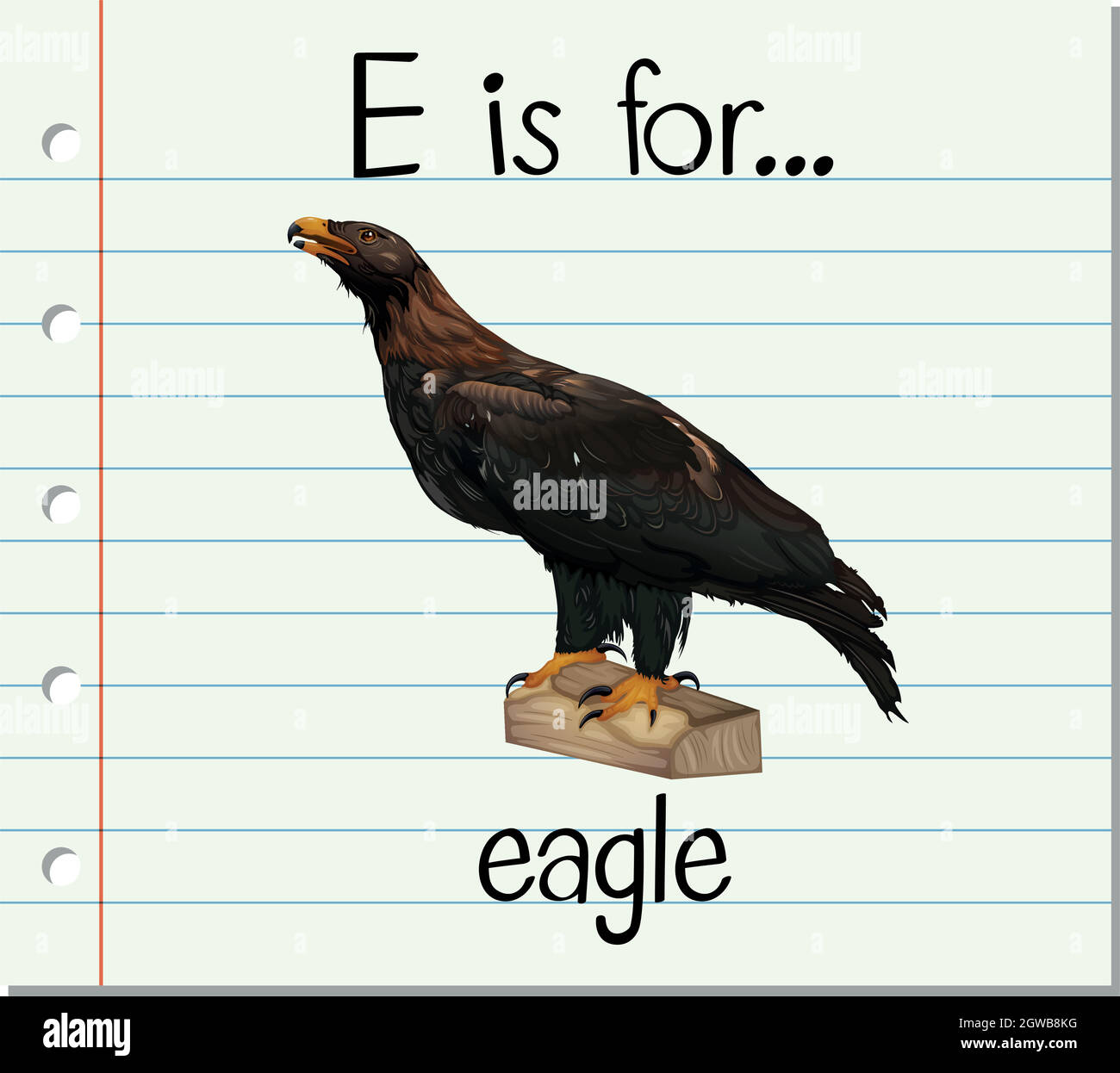 Flashcard letter E is for eagle Stock Vector Image & Art - Alamy