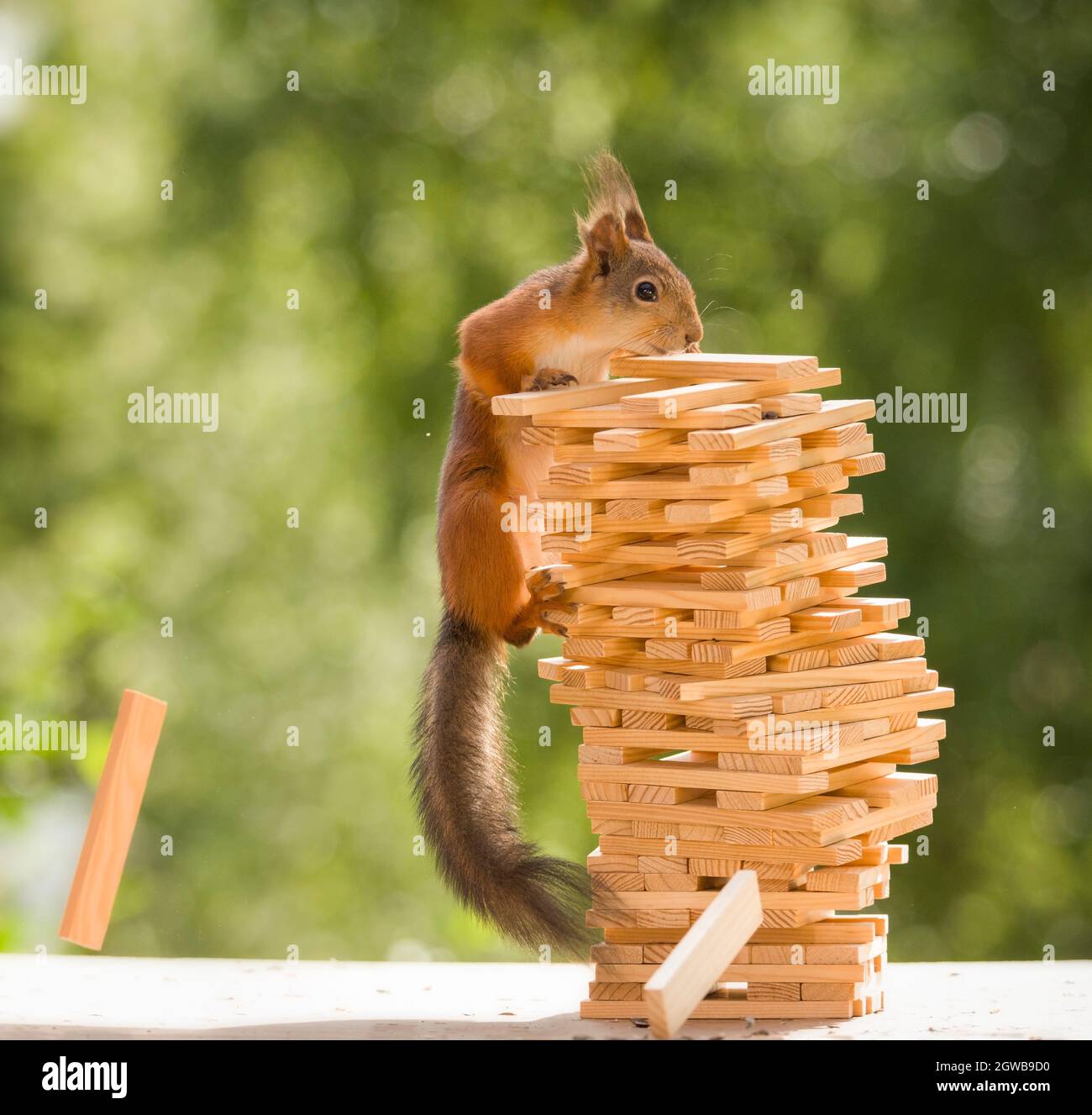 Block removal hi-res stock photography and images - Alamy