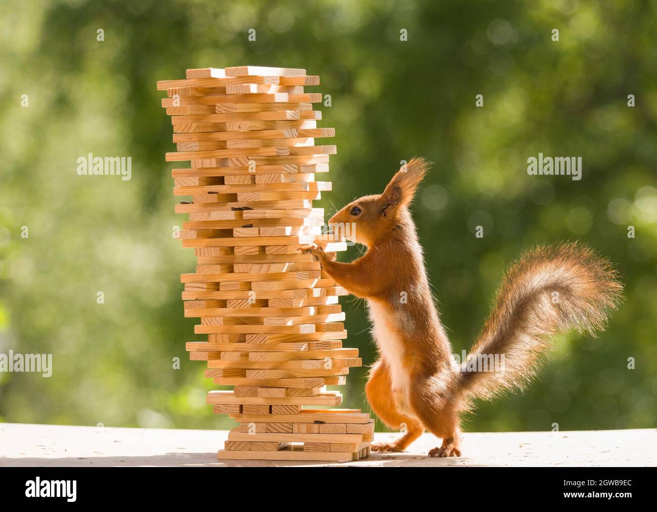 Block removal hi-res stock photography and images - Alamy