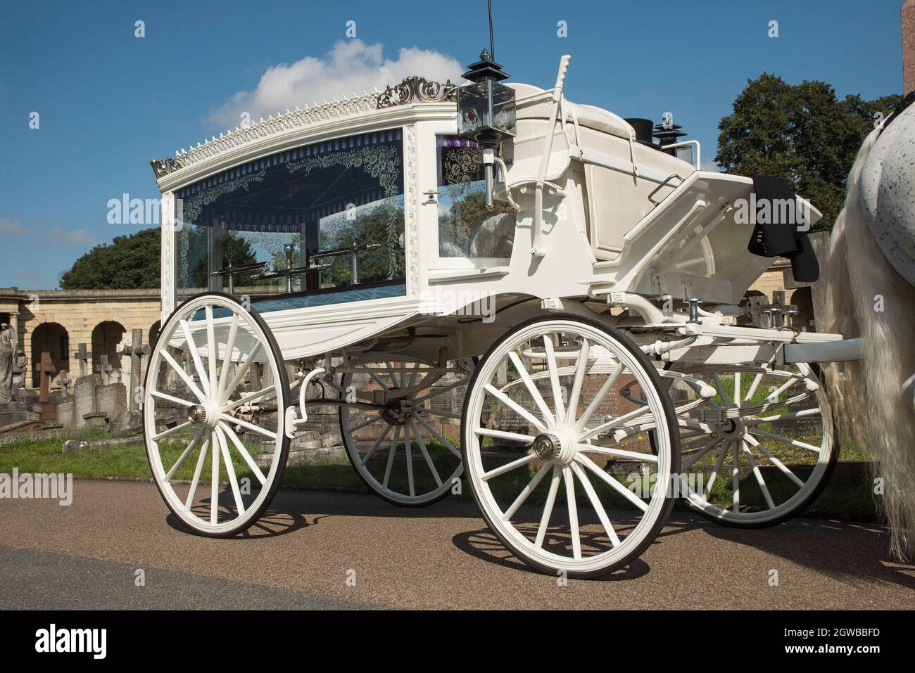White horse drawn funeral carriage in a cemetery, one of the ...