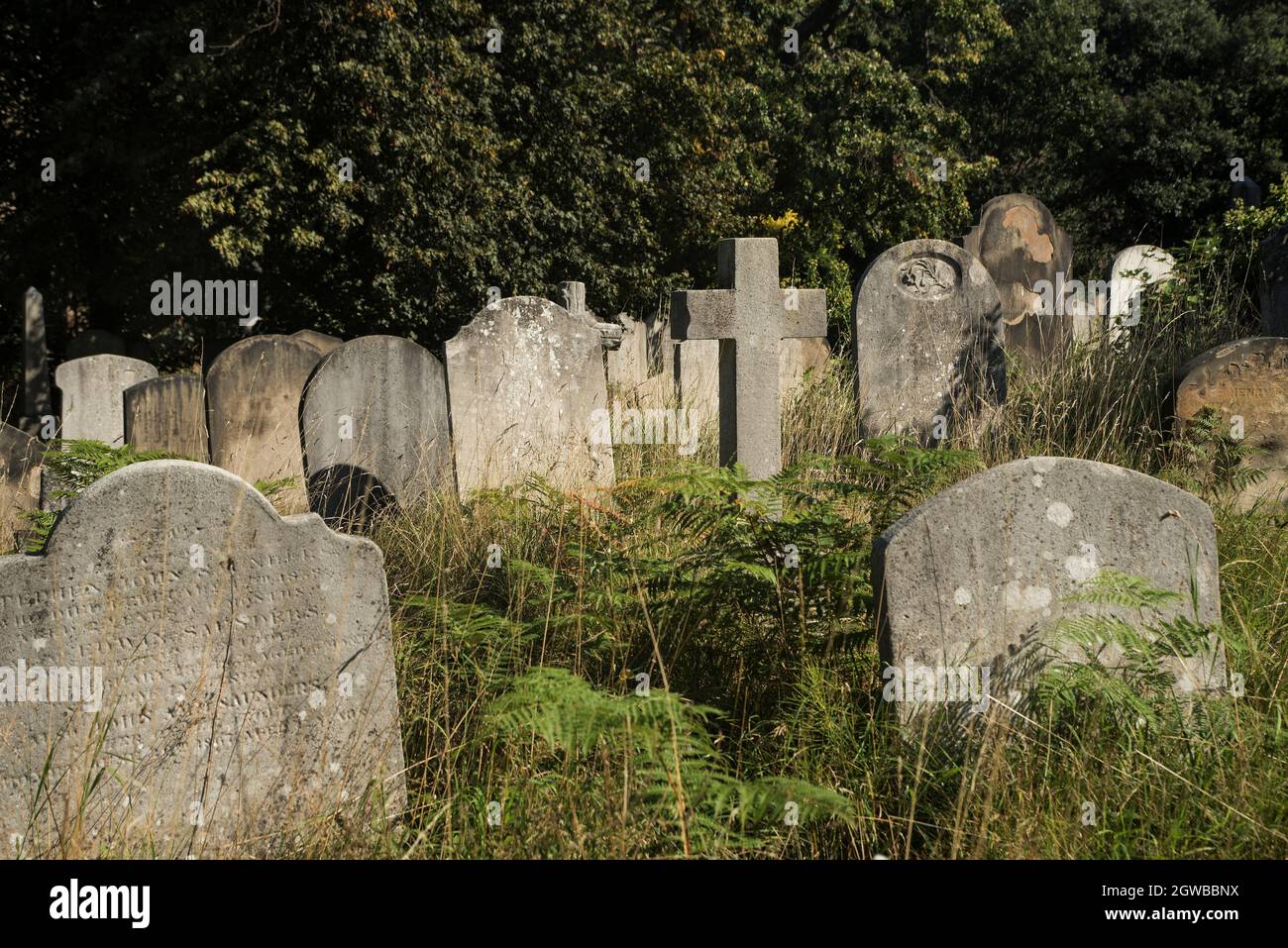 Crosses and gravestones in the wildlife reserve of one of the ...