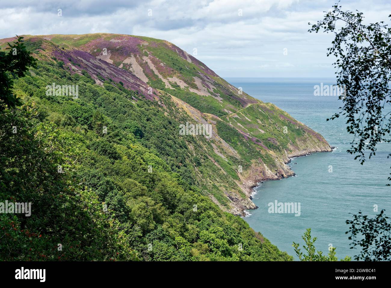 The Foreland, Countisbury Hill viewed from below Kipscombe, Exmoor ...