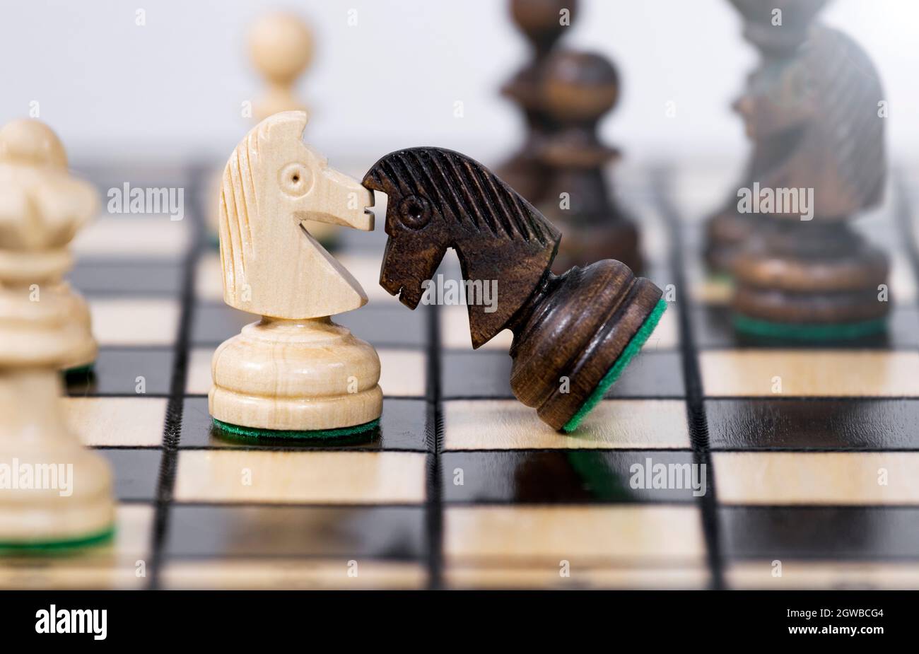 Two chess knight compete with each other, Chessboard Background, Take a ...