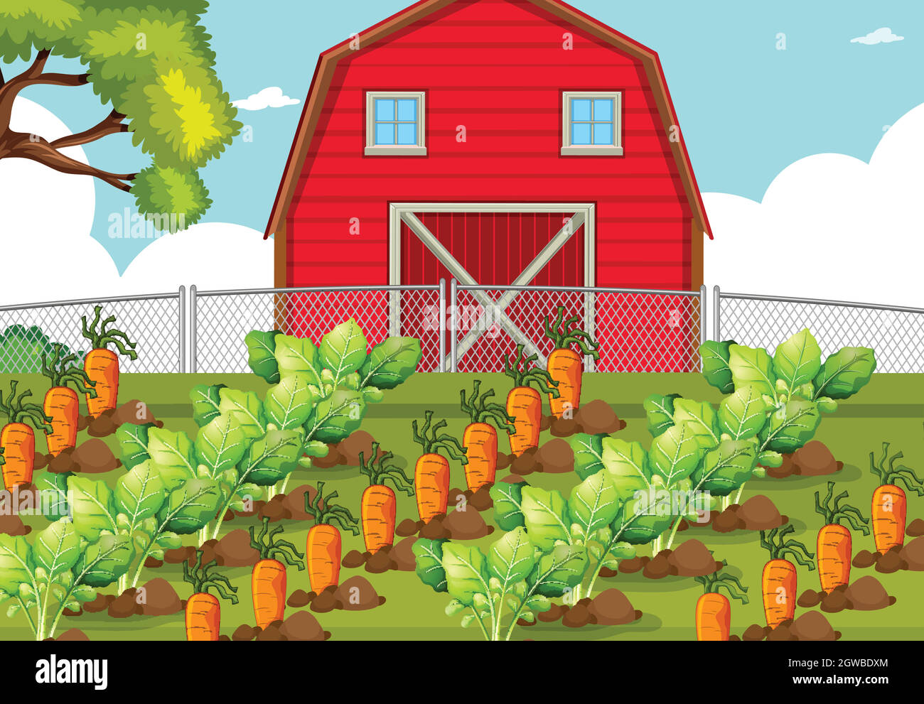 Vegetable patch at a farm Stock Vector Image & Art - Alamy