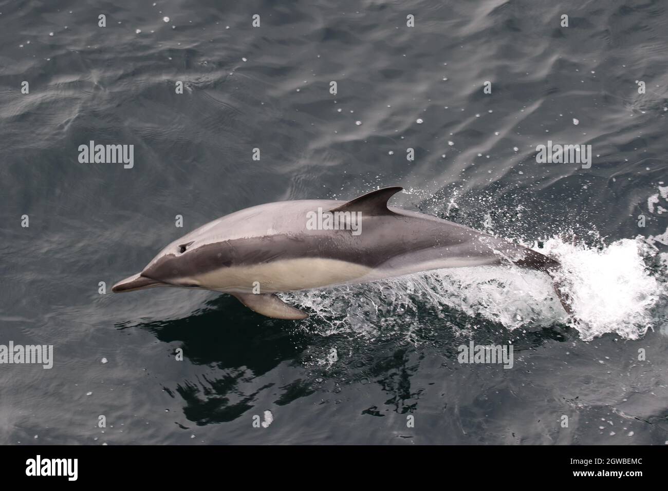 Sequence of 9 photographs hi-res stock photography and images - Alamy