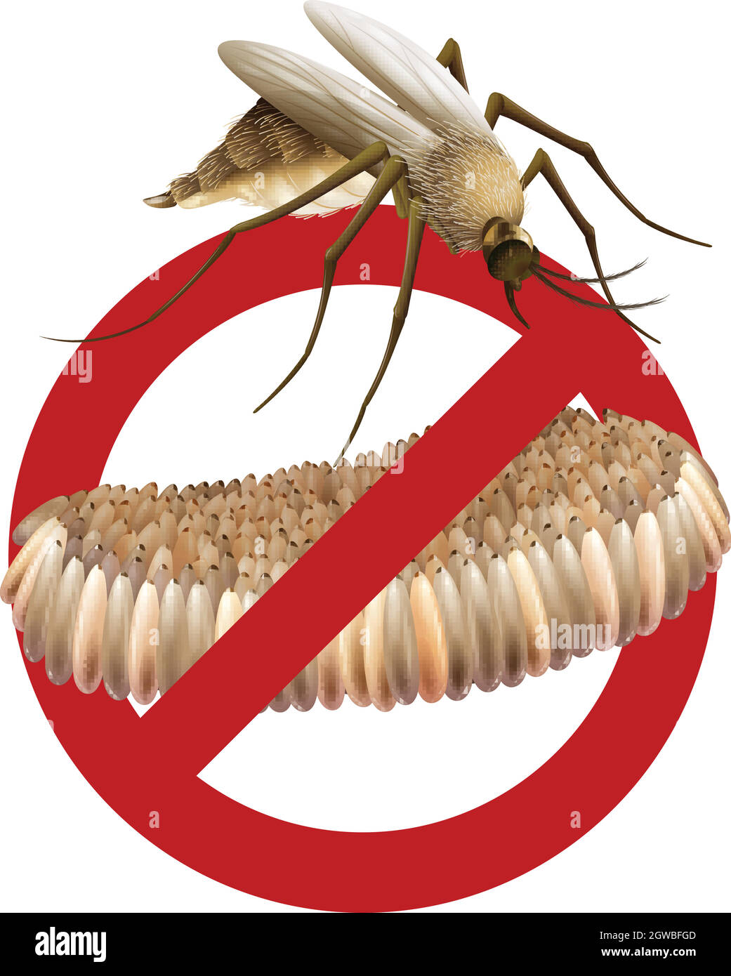 Mosquito eggs hi-res stock photography and images - Alamy