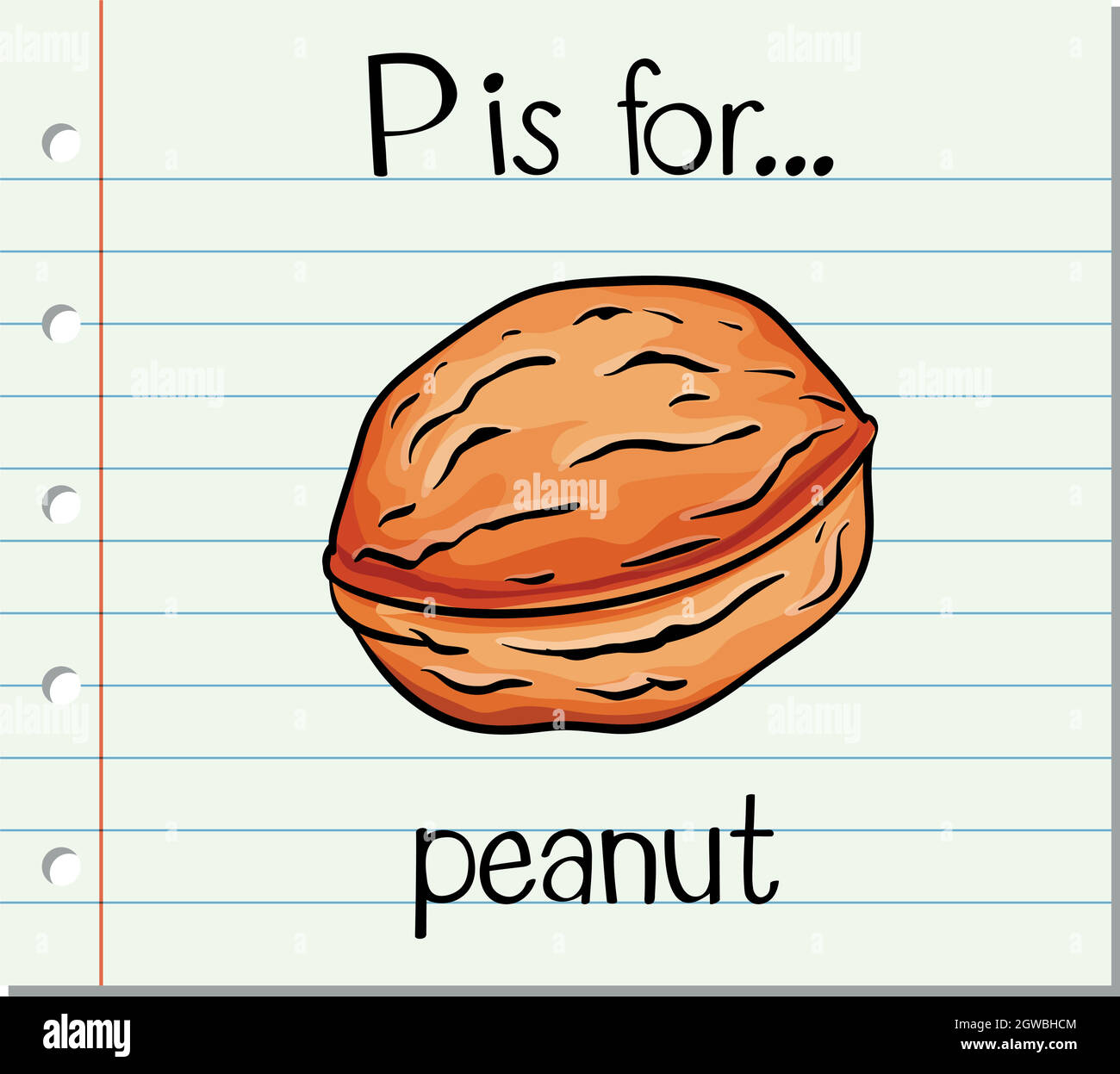 Flashcard letter P is for peanut Stock Vector Image & Art - Alamy