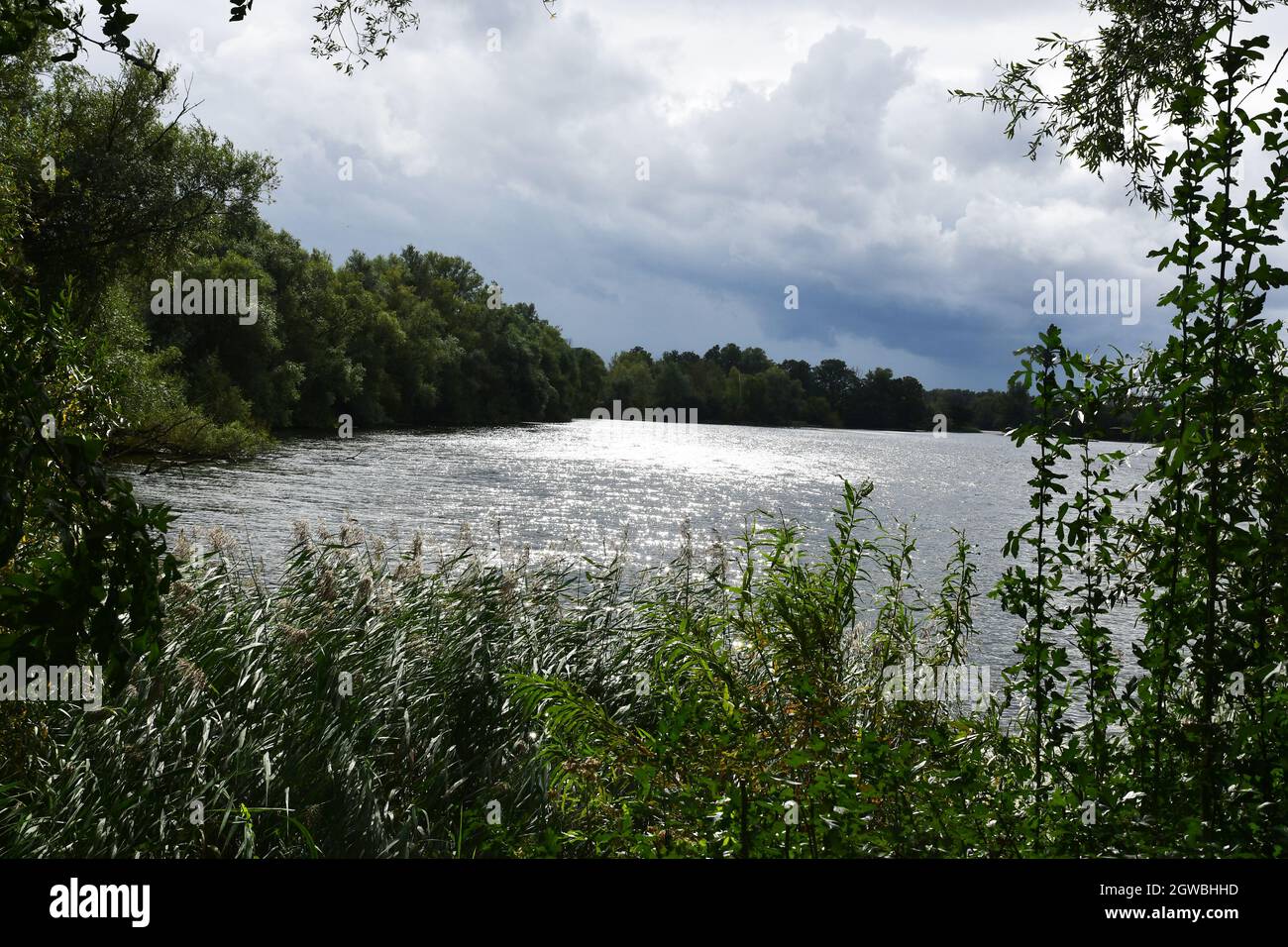 Paxton Pits Nature Reserve, Little Paxton, Cambridgeshire, UK Stock ...