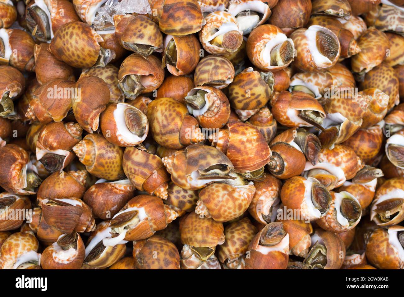 Eating thaifood hi-res stock photography and images - Alamy