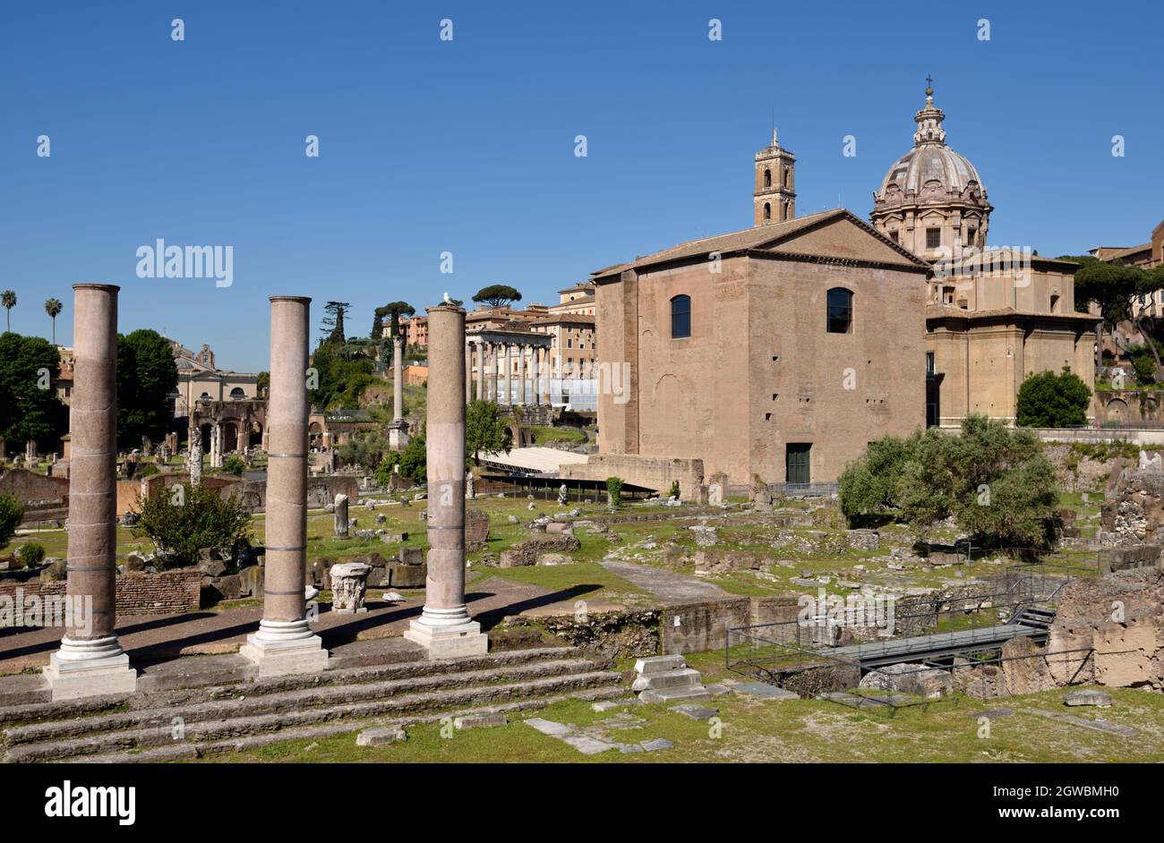 italy, rome, roman forum, foro della pace (forum of peace), columns of ...