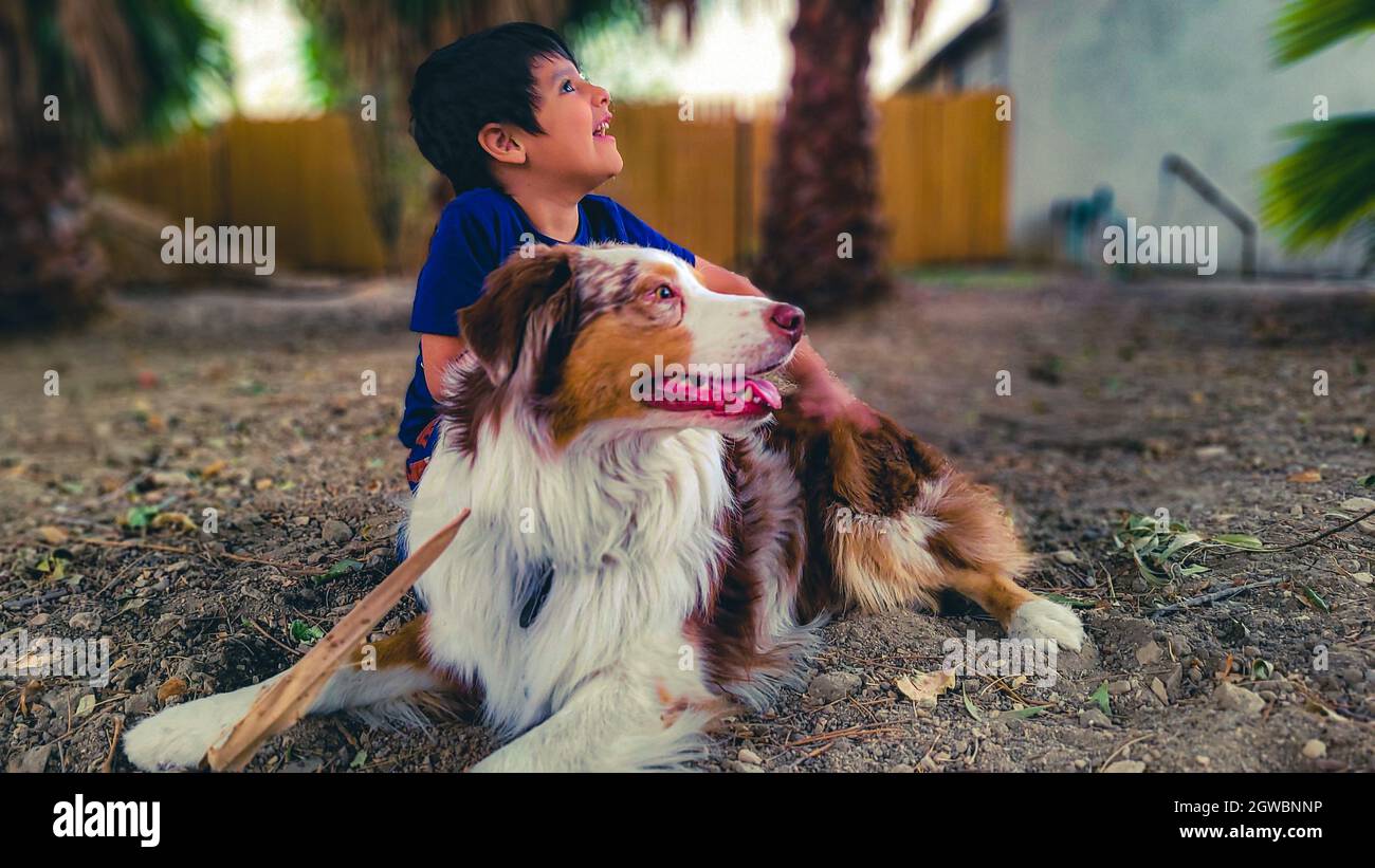 Dog with a boy hi-res stock photography and images - Alamy
