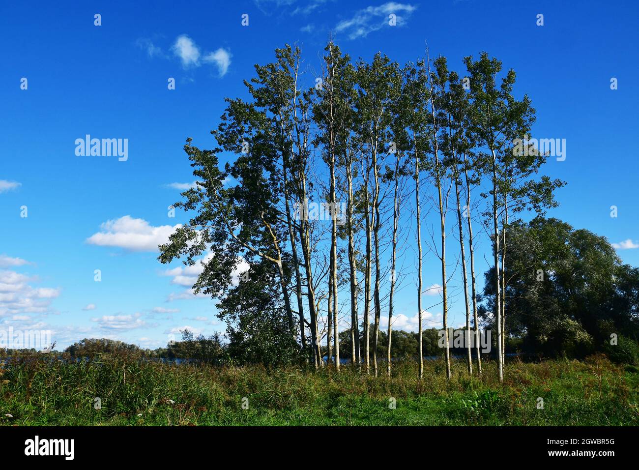Cambridgeshire summer landscape hi-res stock photography and images - Alamy