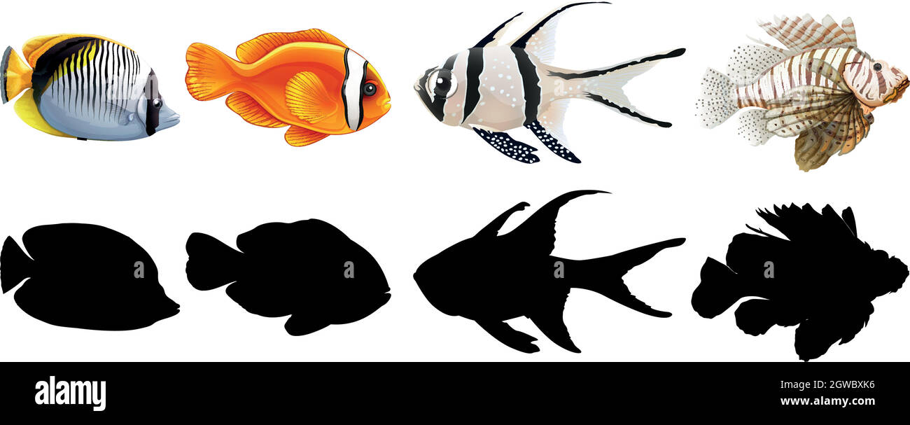 Set of saltwater Fish Stock Vector Image & Art - Alamy