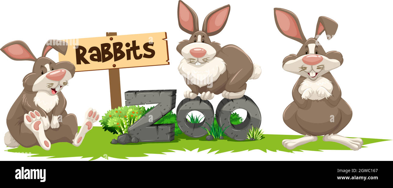 Three rabbits at the zoo sign Stock Vector Image & Art - Alamy