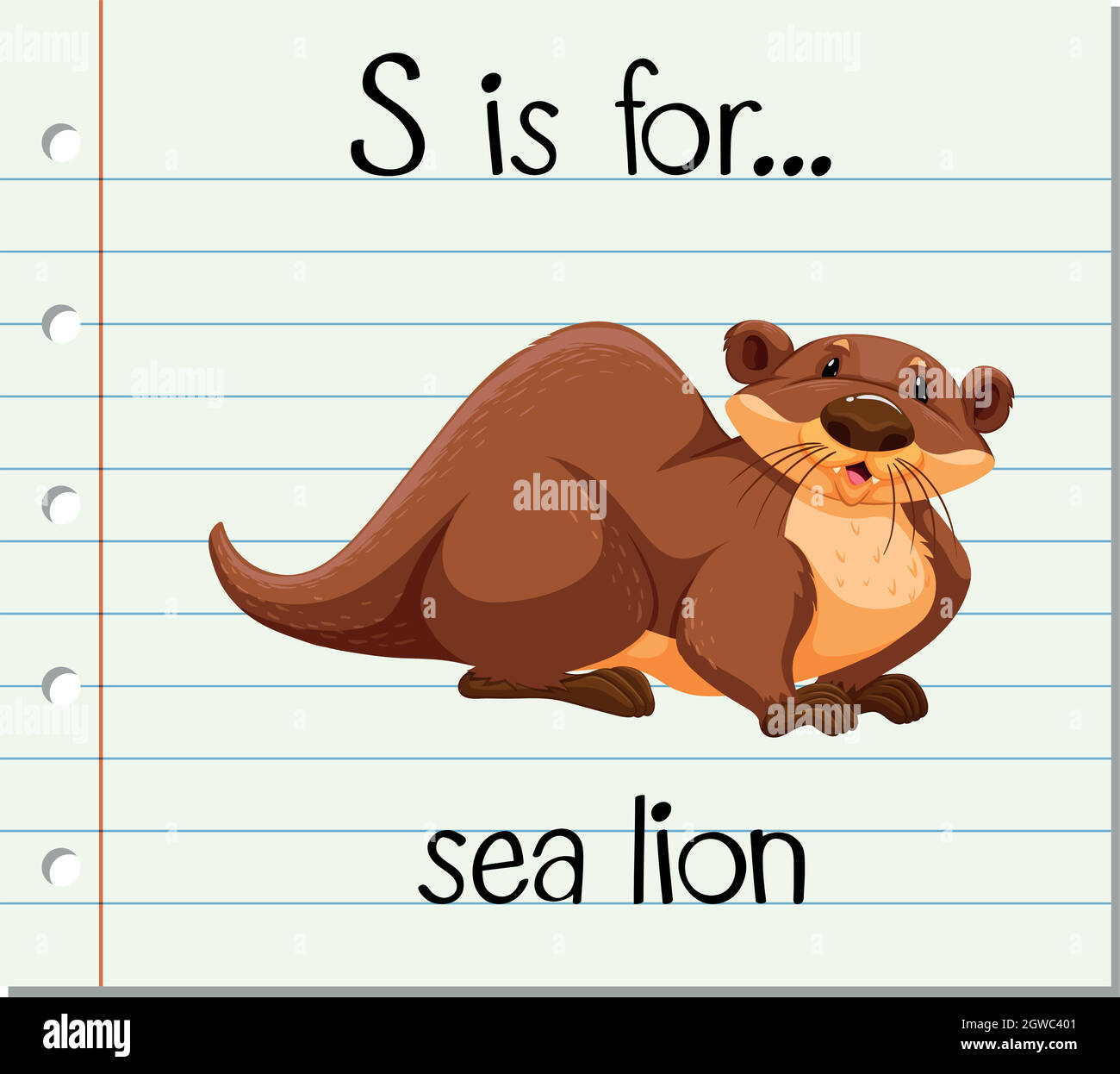 Flashcard letter S is for sea lion Stock Vector Image & Art - Alamy