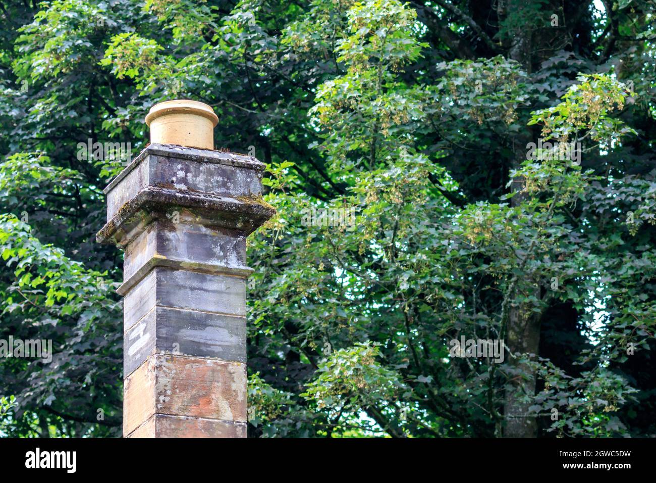 Old chimney stack with a tree in the background Stock Photo - Alamy