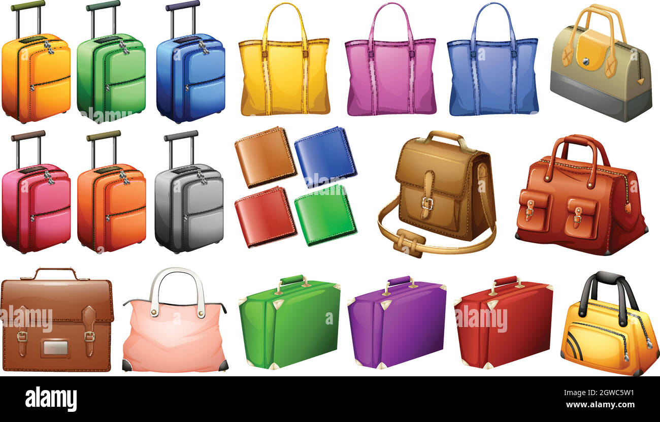 Different types of luggages Stock Vector Image & Art - Alamy