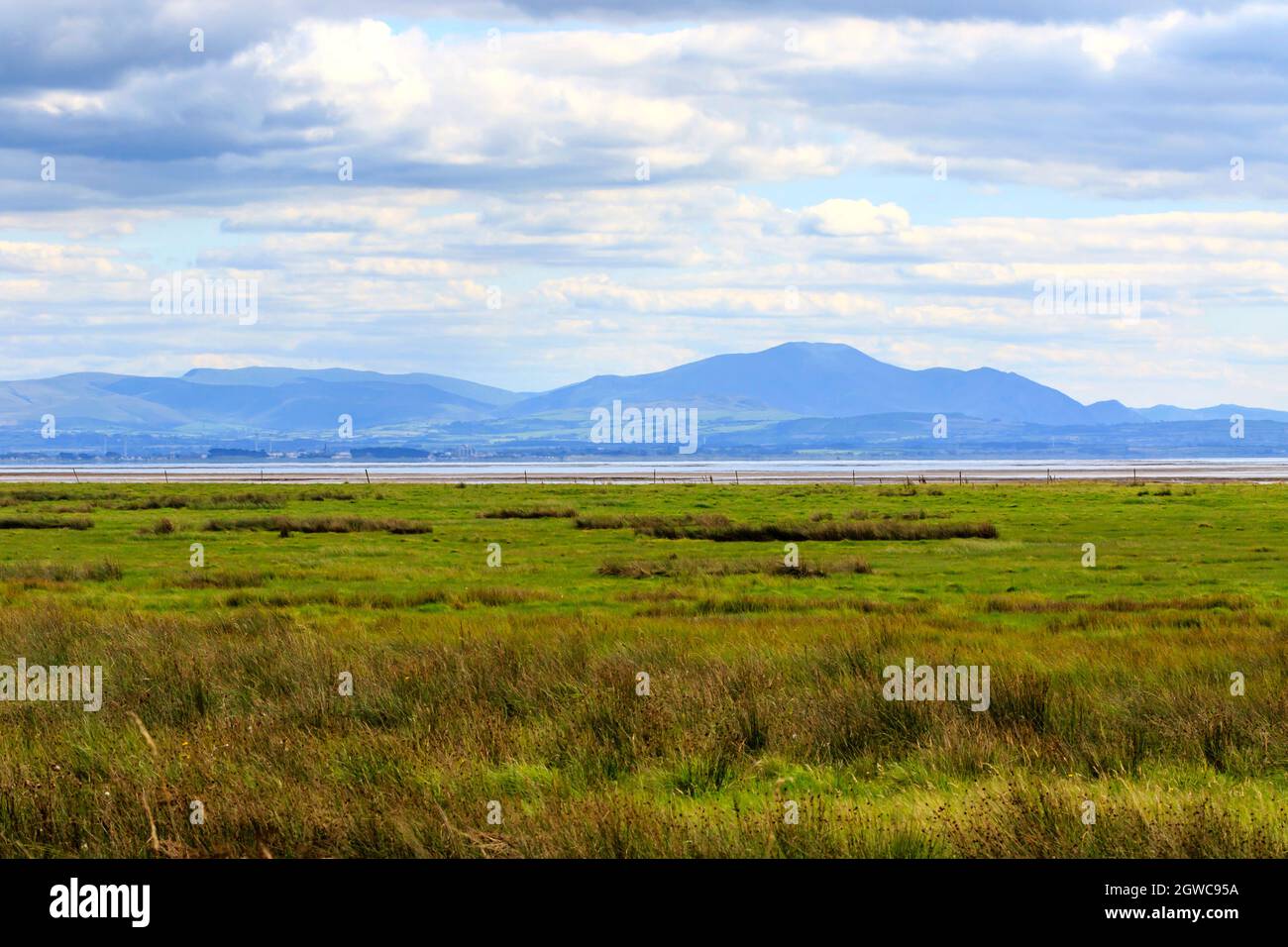 Nith estuary hi-res stock photography and images - Alamy