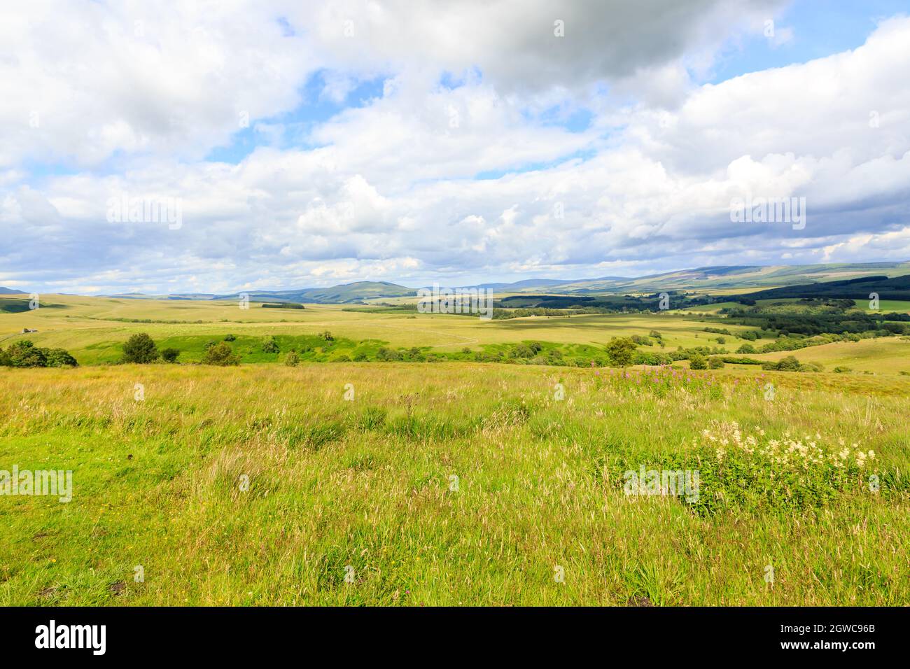 Habitat borders hi-res stock photography and images - Alamy