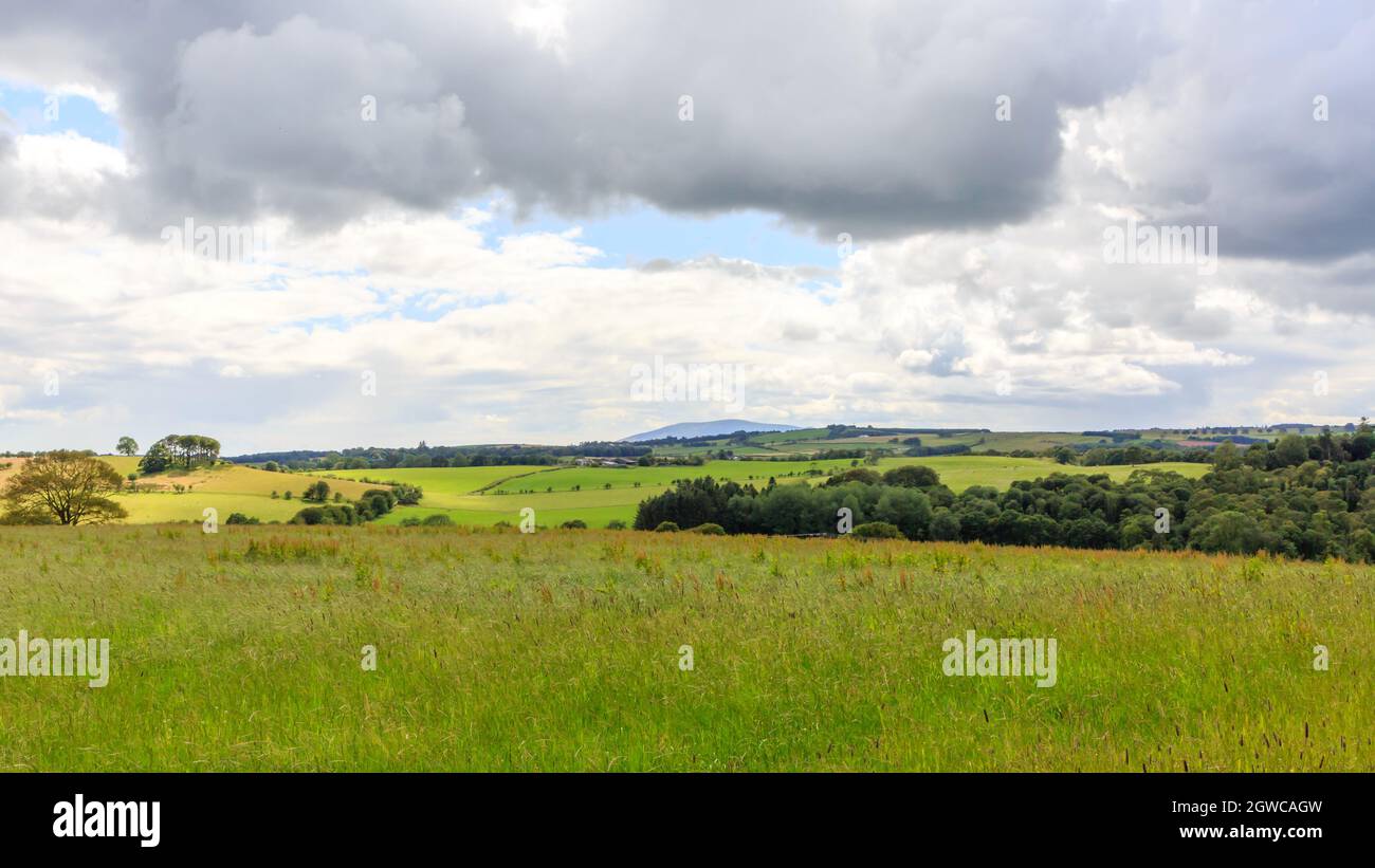 View over Scottish farmland with the small mountain known as criffel in ...