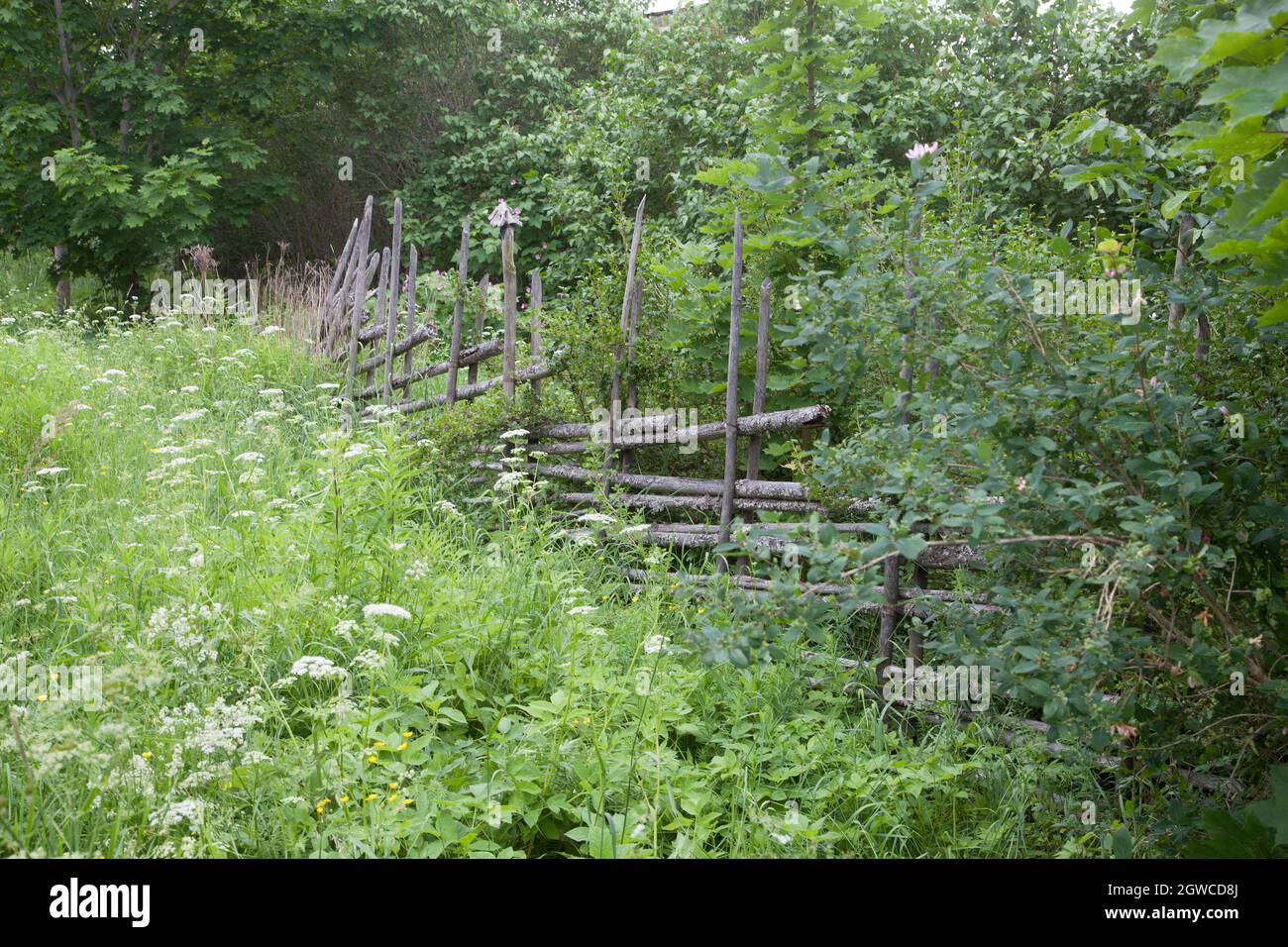 ROUNDPOLE FENCE wooden fence typical for Sweden and other Nordic ...