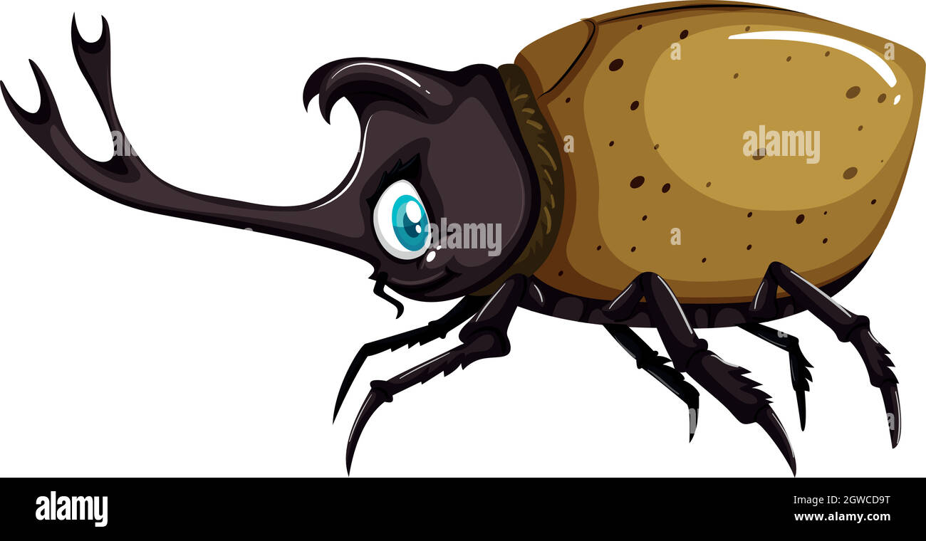 Beetle with sharp horn Stock Vector Image & Art - Alamy