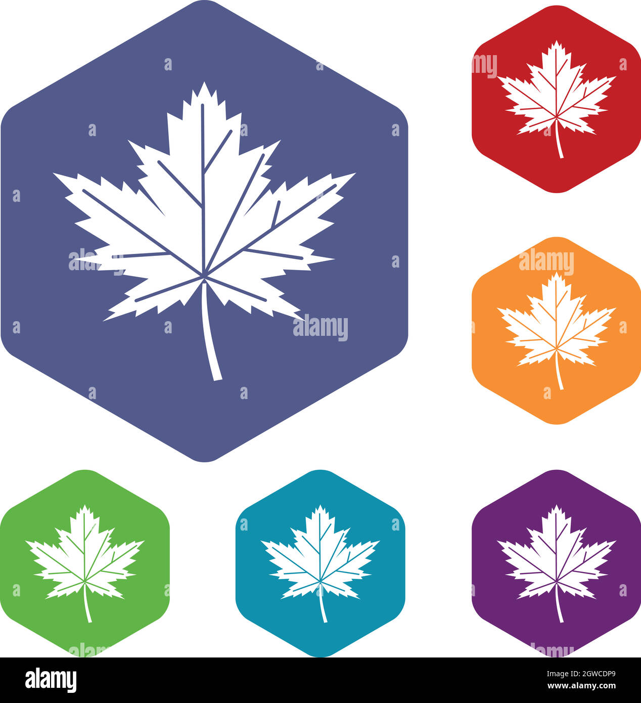 Maple leaf icons set Stock Vector Image & Art - Alamy