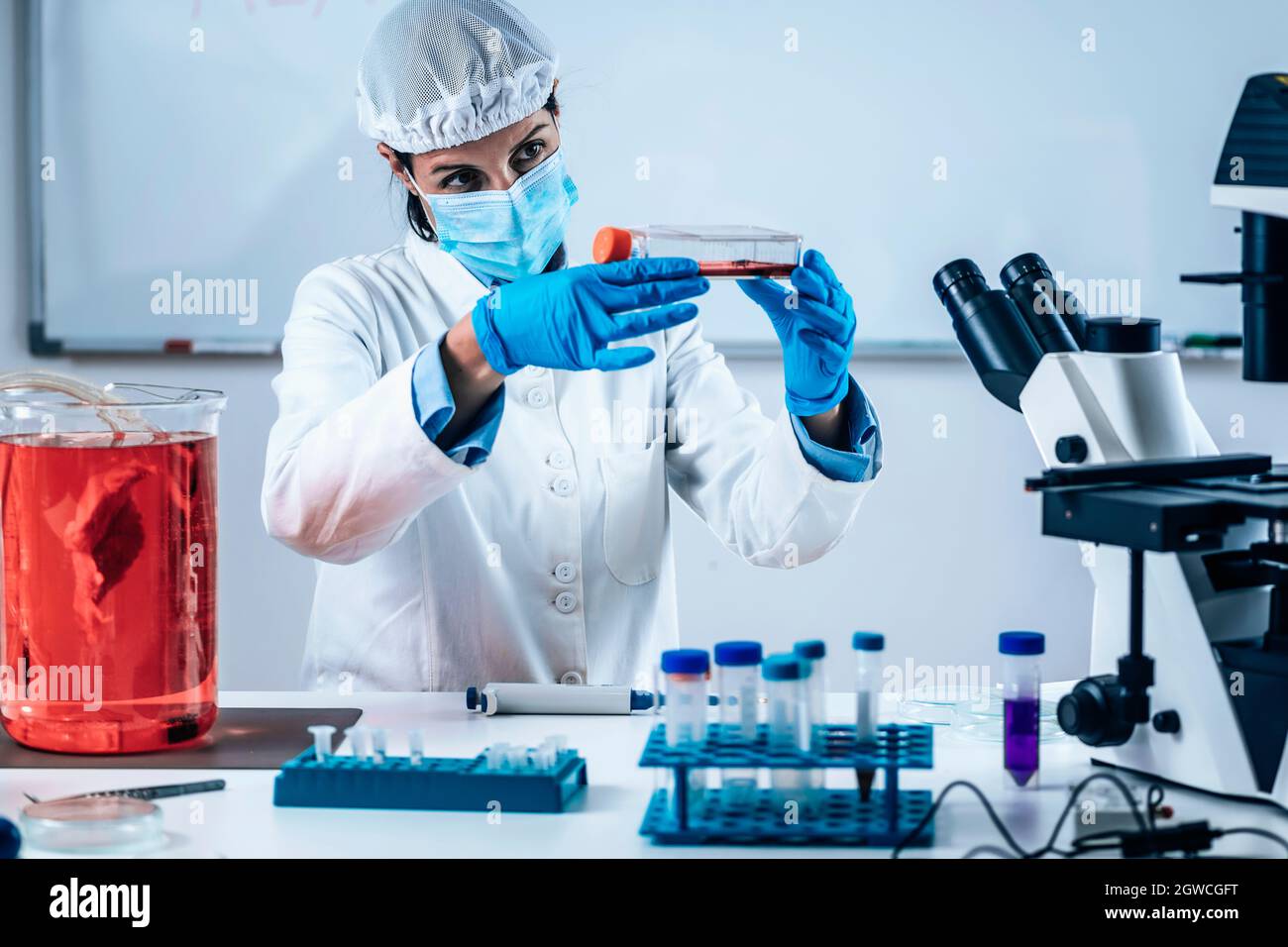 Rubber under microscope hi-res stock photography and images - Alamy